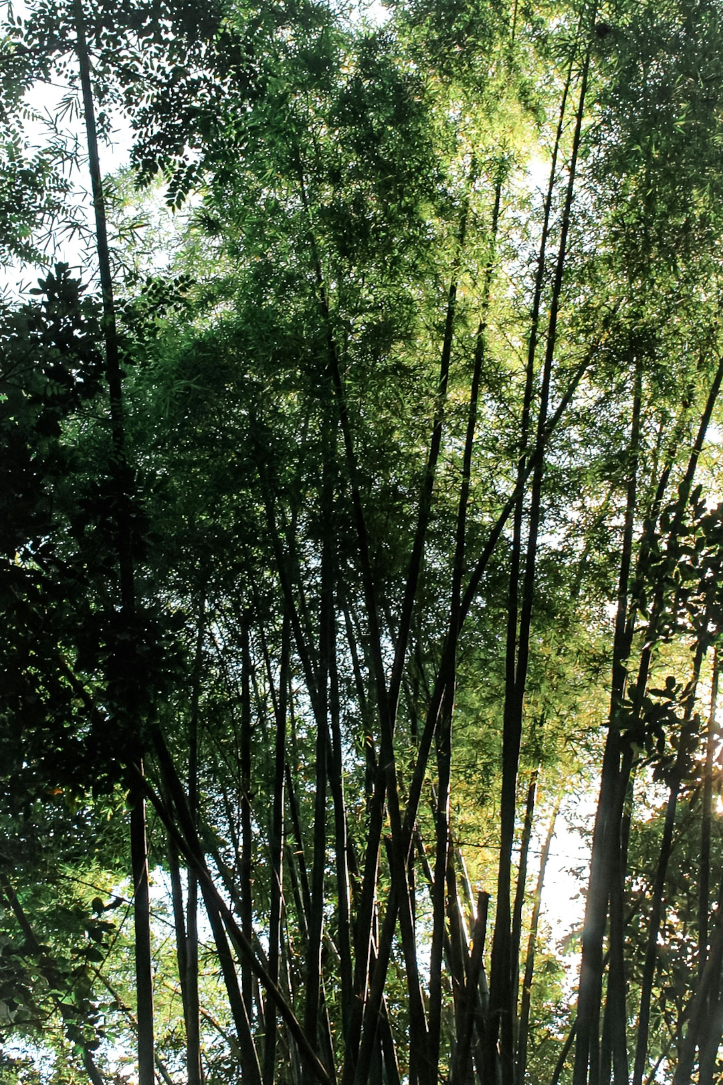 Materiales Ricos Photos, Download The BEST Free Materiales Ricos Stock ...