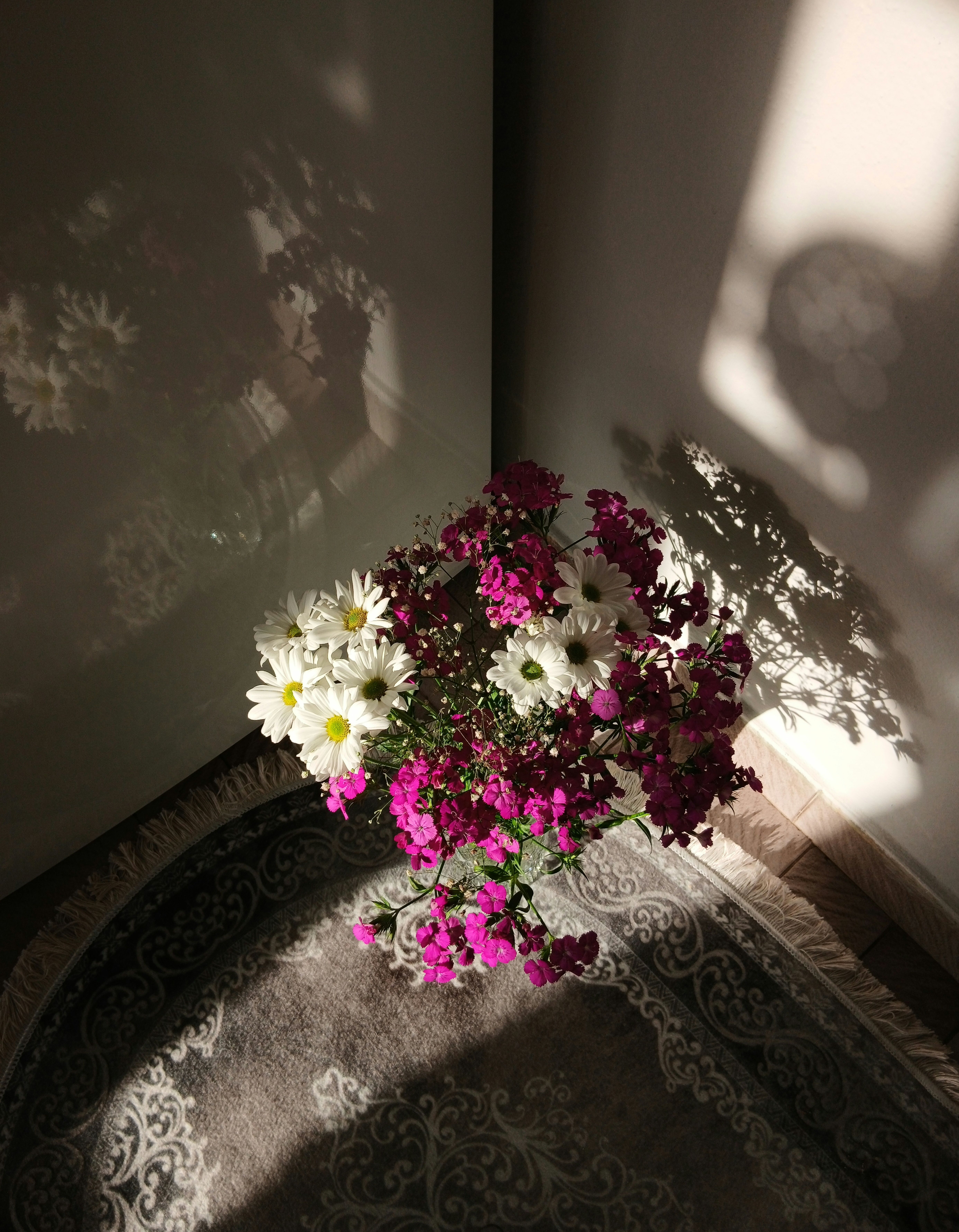 Spring Flowers Colorful Photos, Download The BEST Free Spring Flowers ...