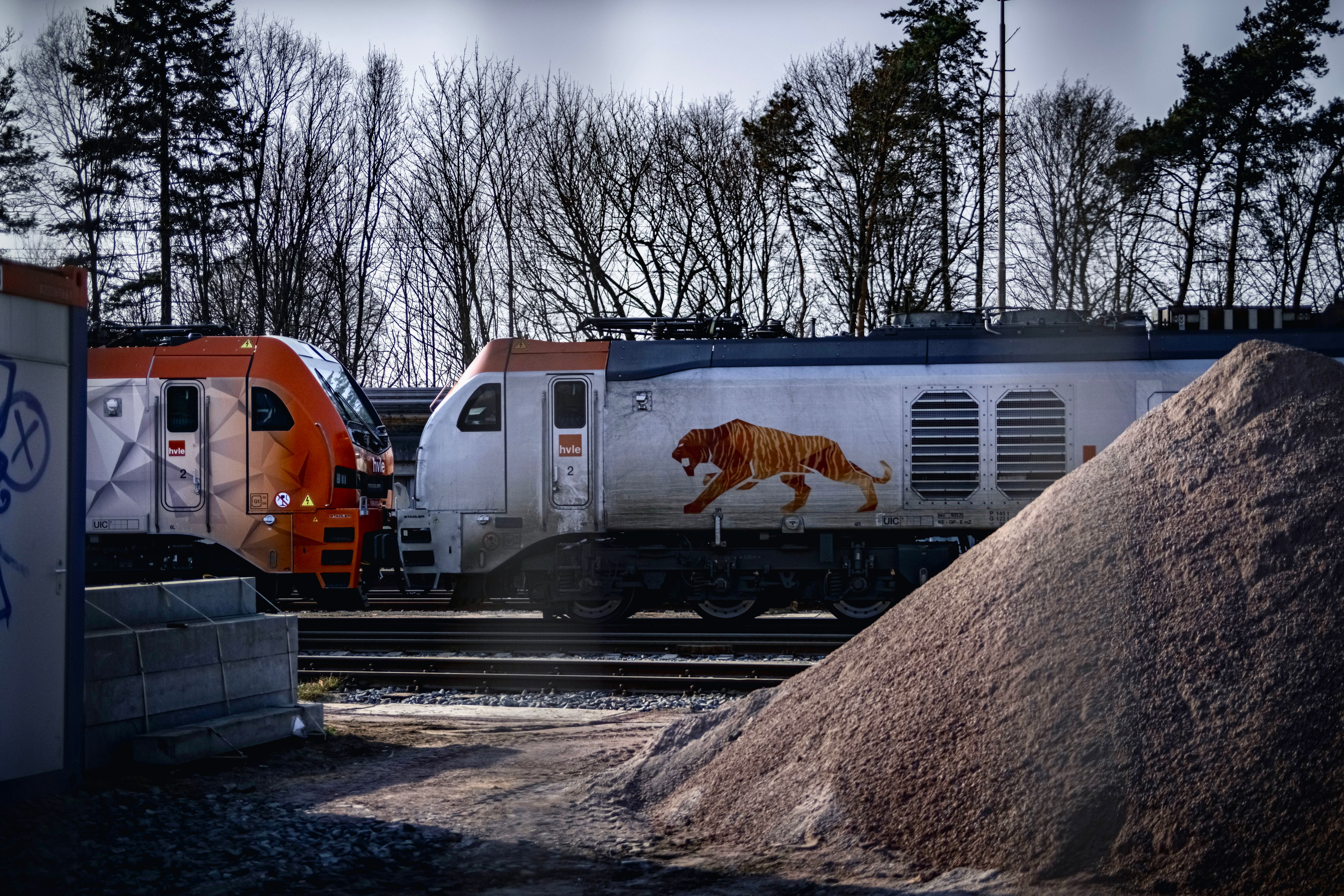 Trains at Celle Railway Yard with Tiger Mural · Free Stock Photo