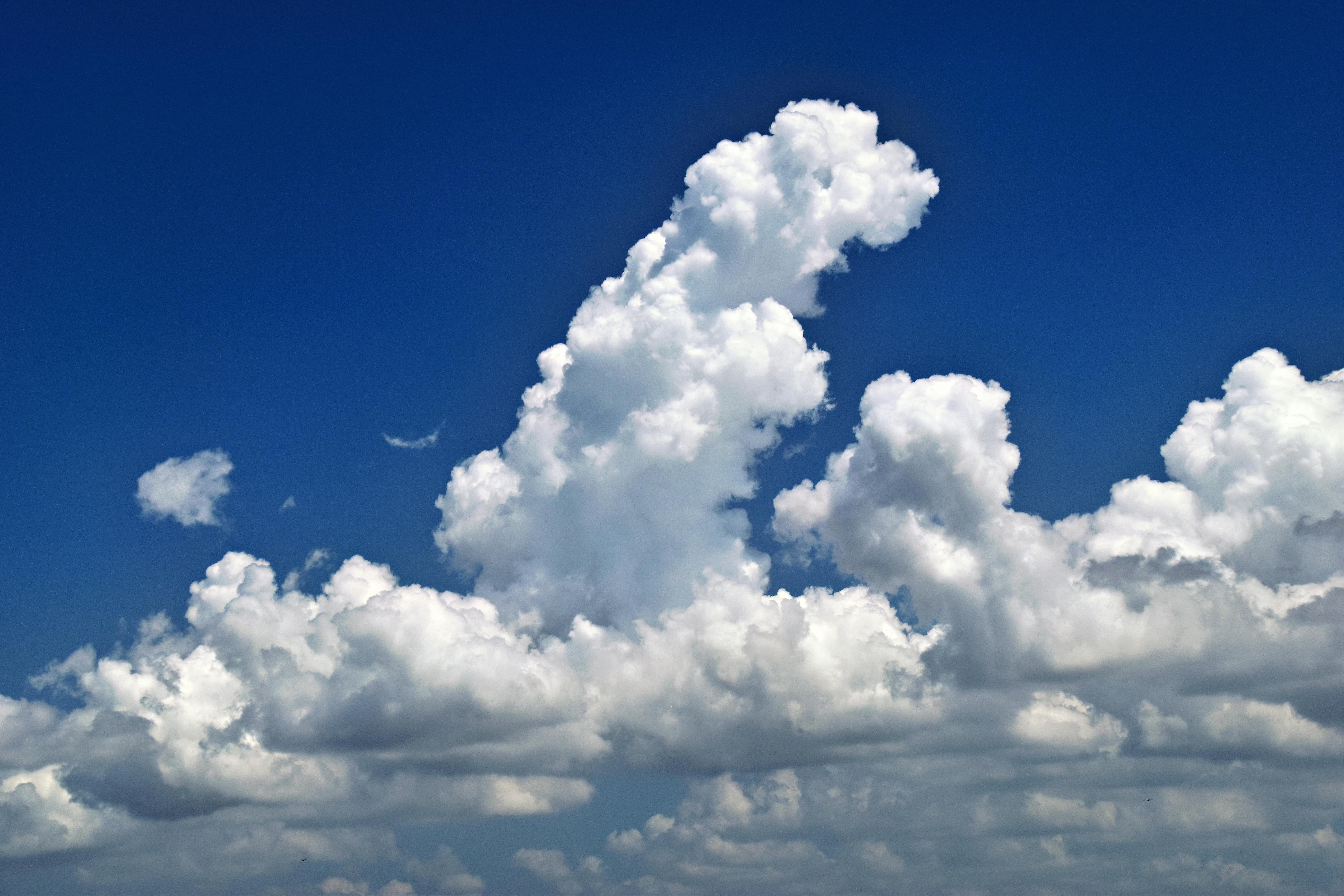 Sarasota Weather Photos, Download The BEST Free Sarasota Weather Stock Photos & HD Images