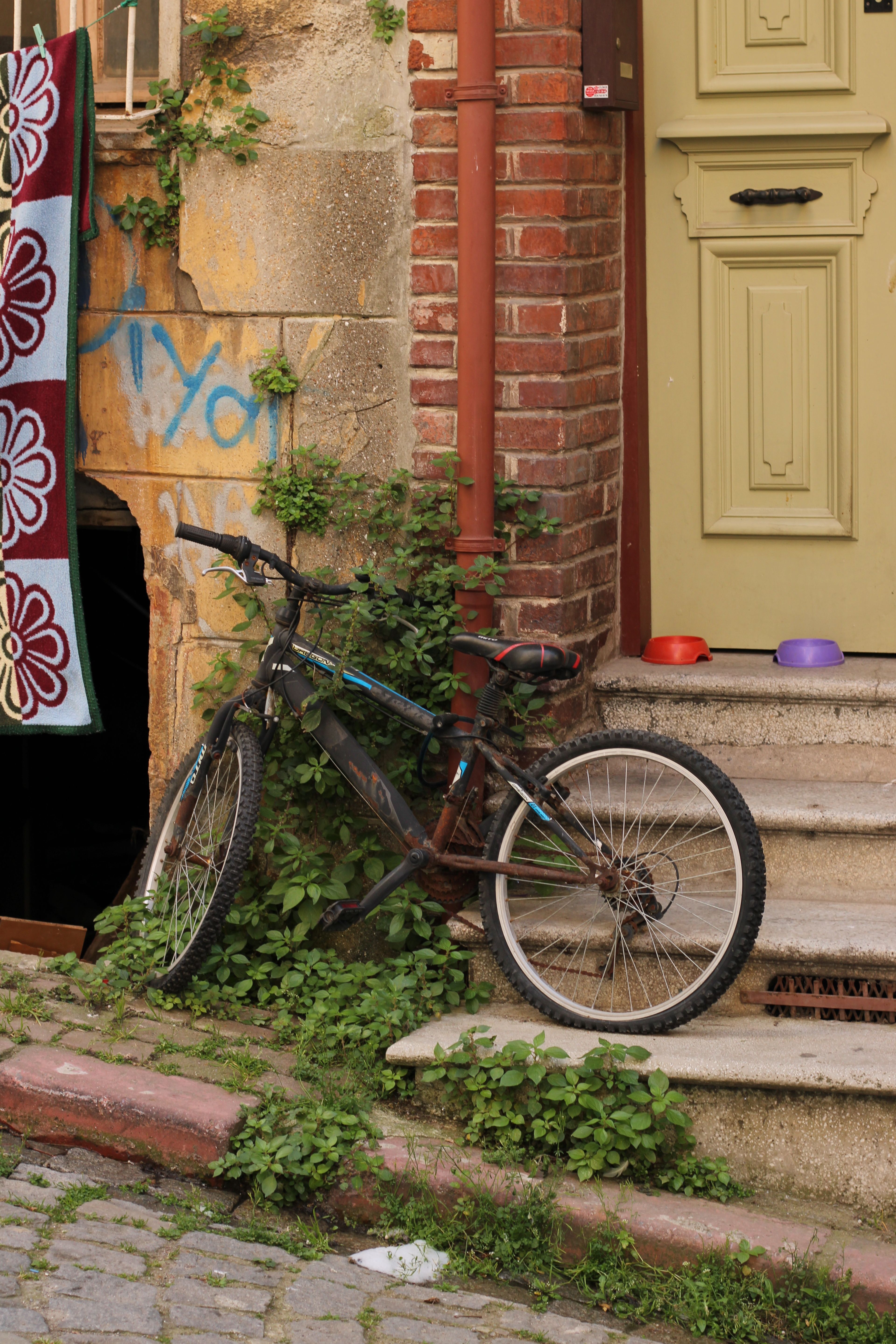 Rustic Street Scene with Bicycle and Red Door · Free Stock Photo