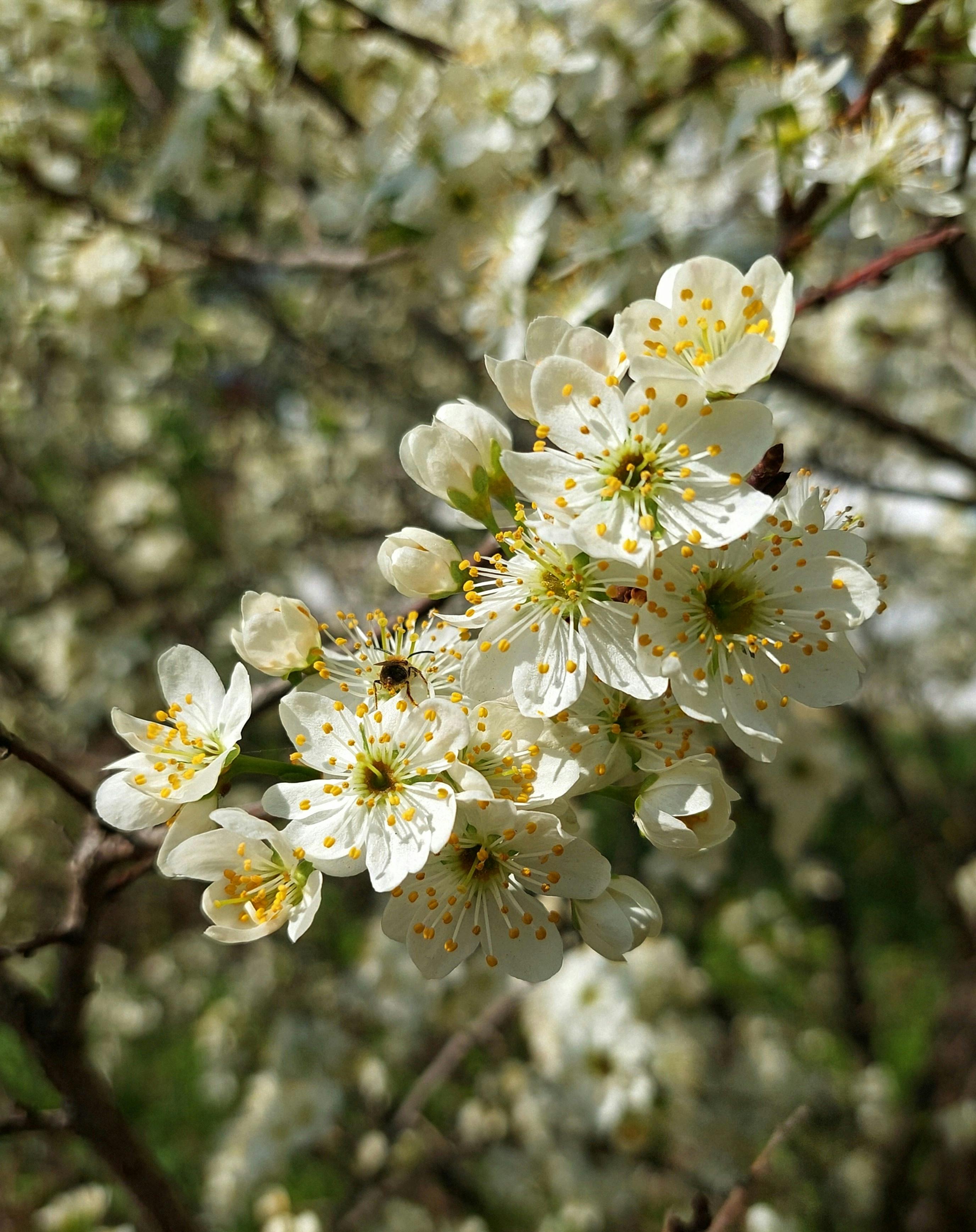 April Collage Photos, Download The BEST Free April Collage Stock Photos ...