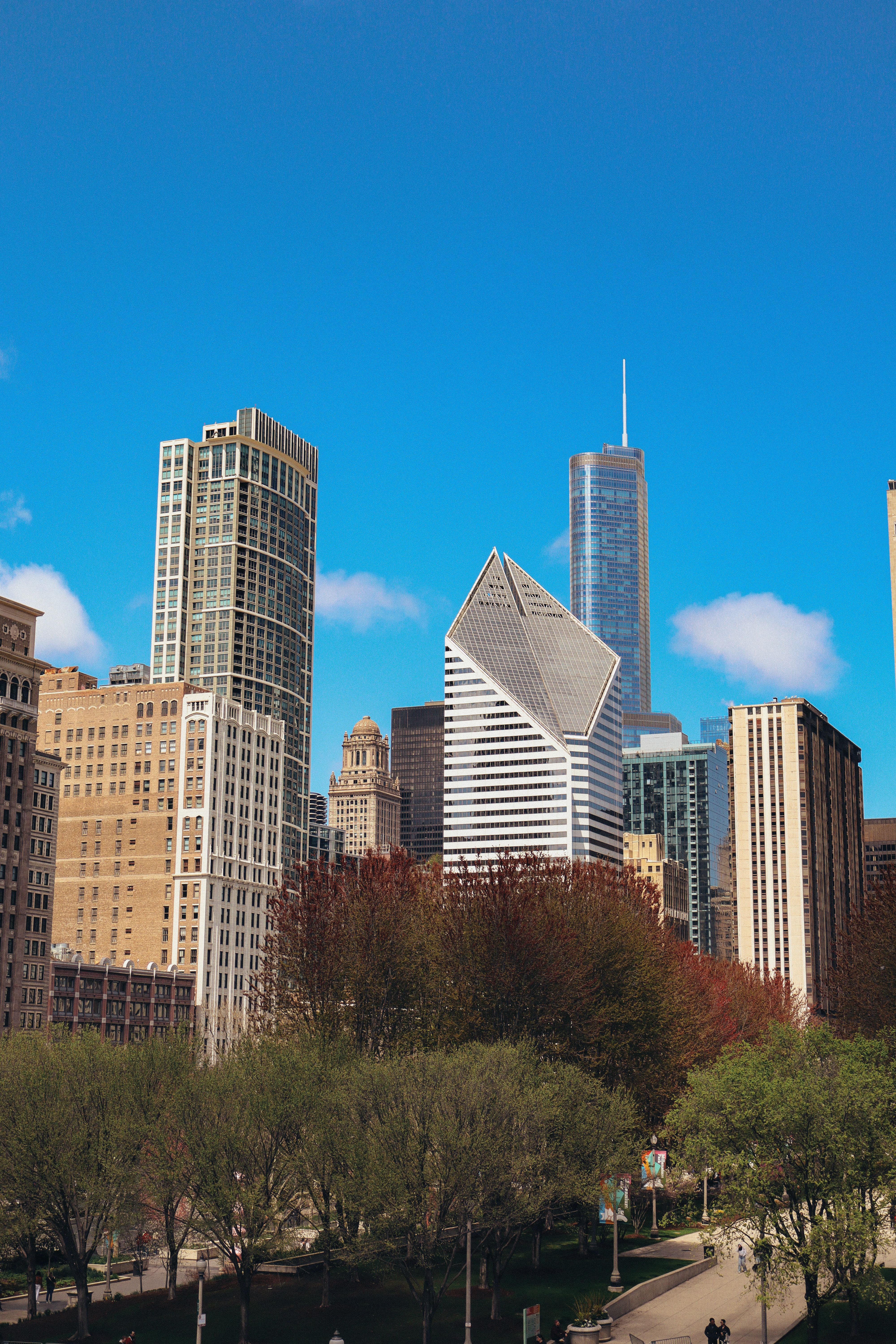 Skyline Du Centre Ville De Chicago Avec Une Architecture Emblématique ...
