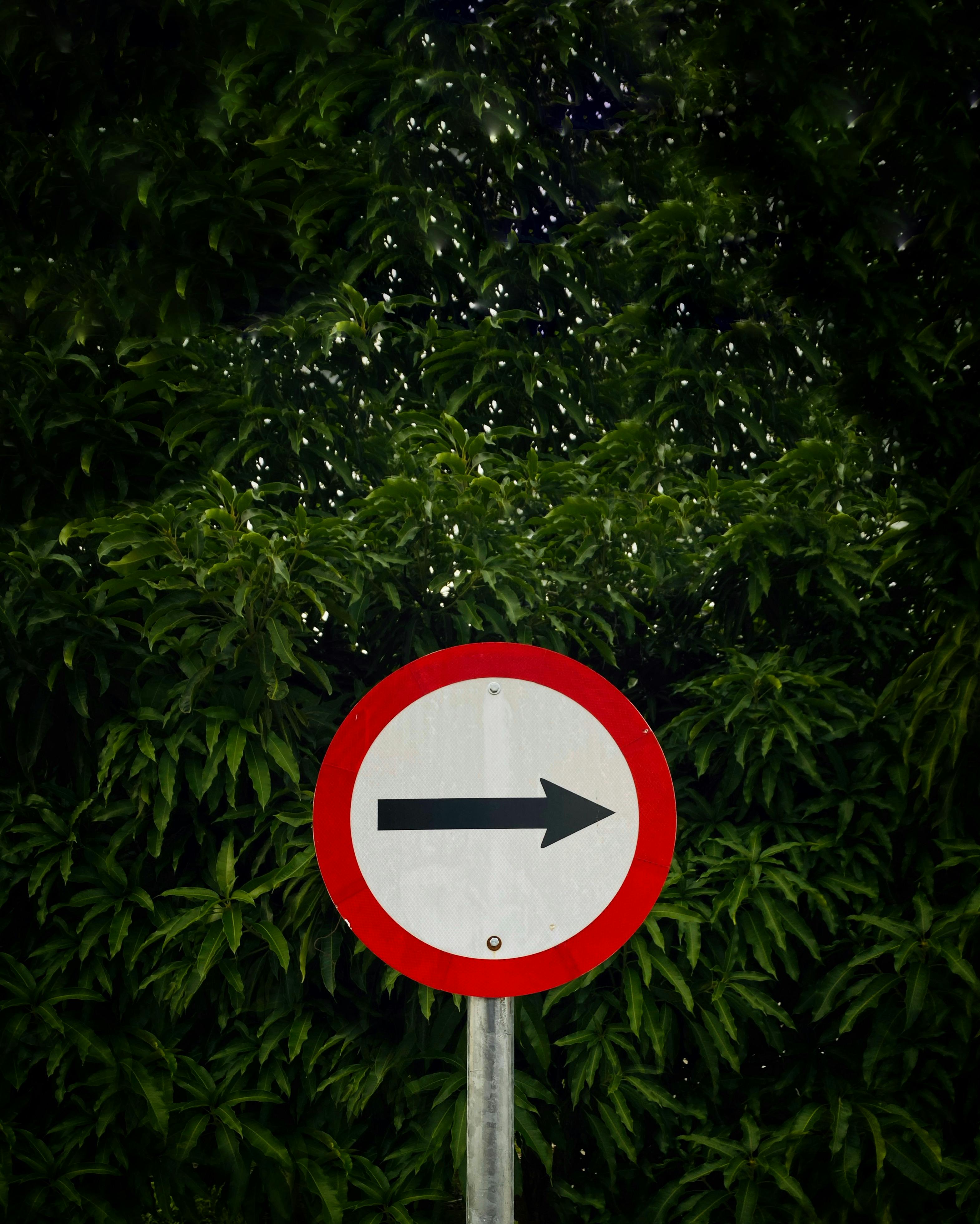 Red Circular Traffic Sign with Arrow in Greenery · Free Stock Photo
