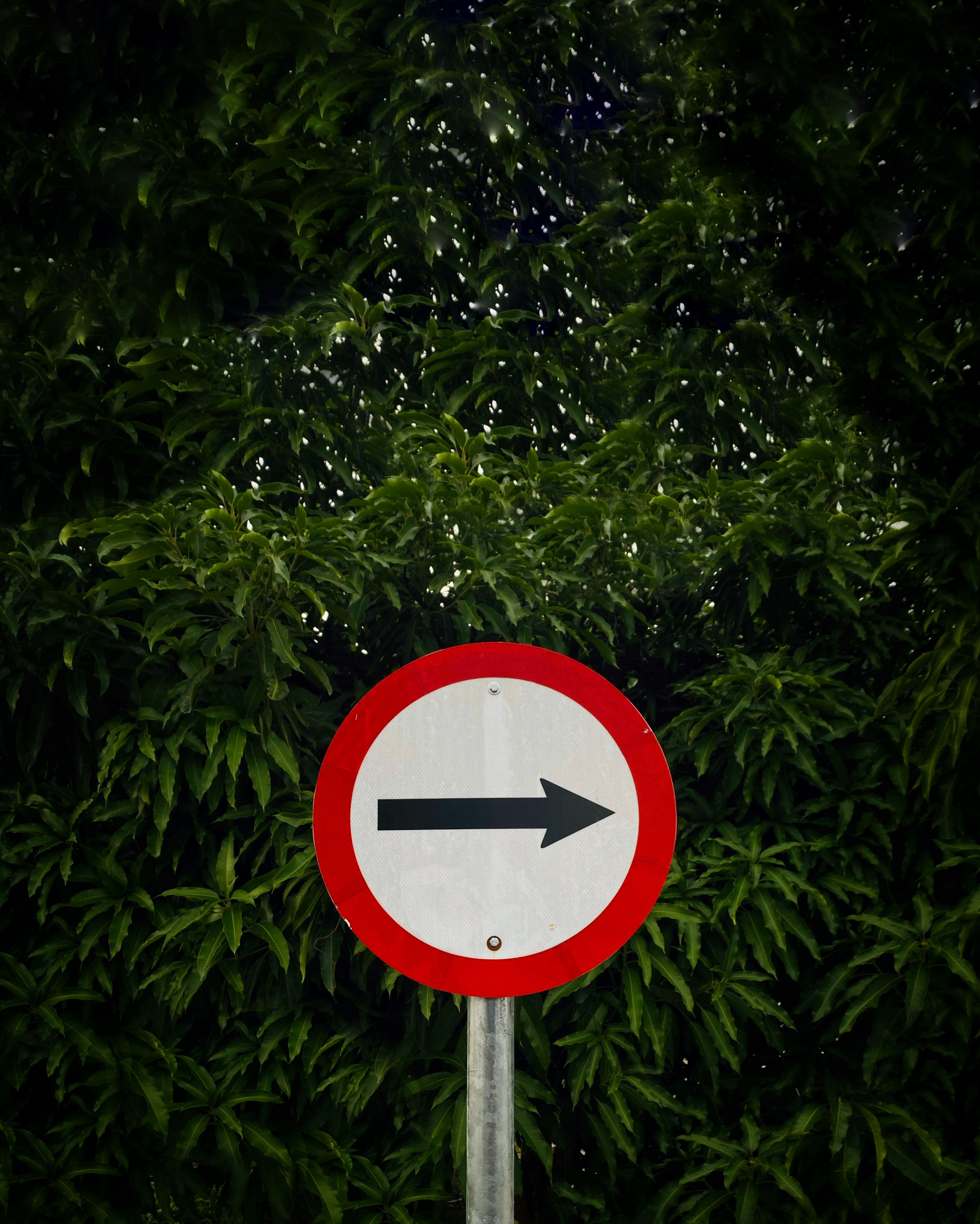 Background With Arrows Images For Hero Sections Photos, Download The ...