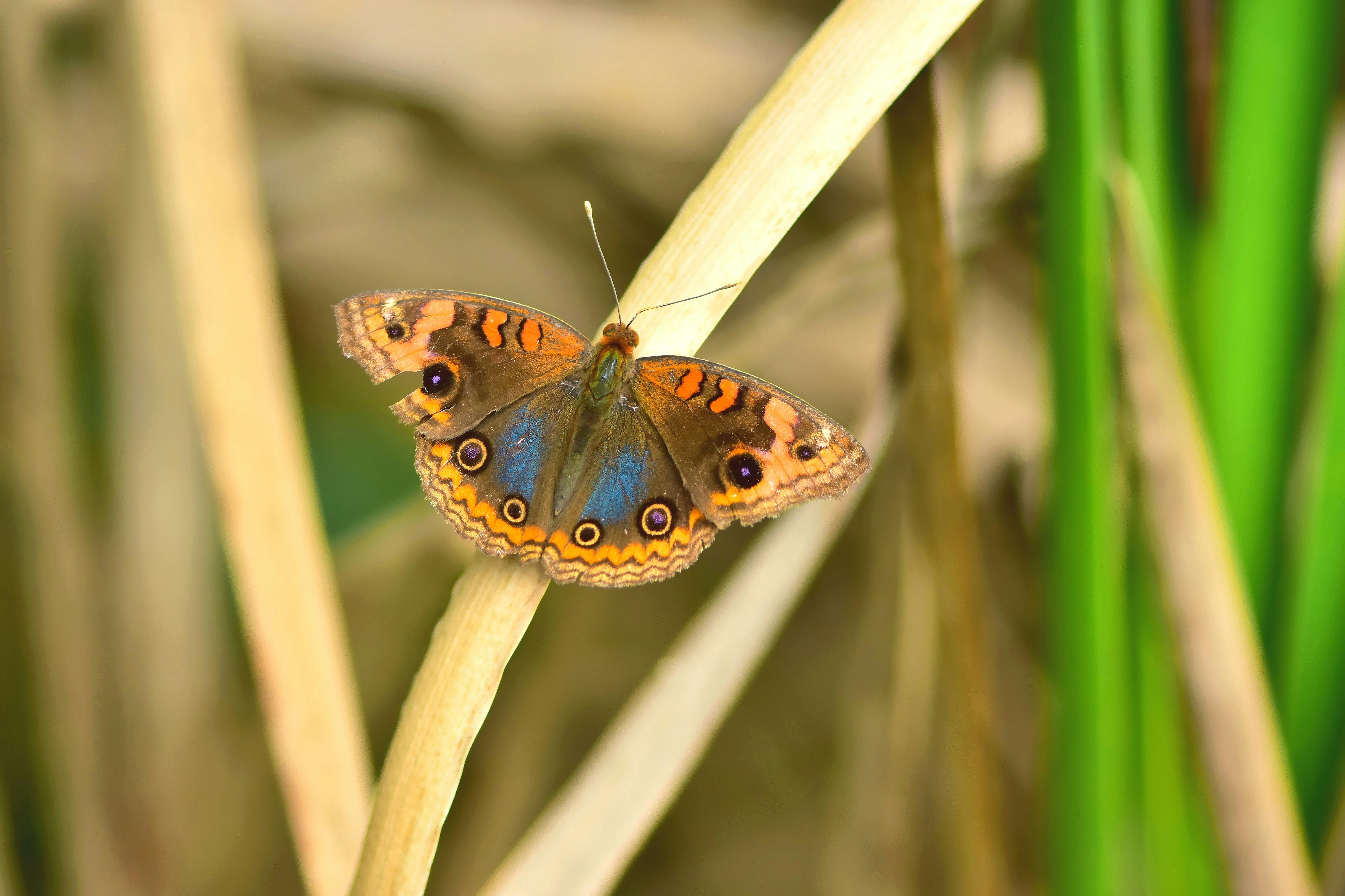 Environmental Conservation Photos, Download The BEST Free Environmental ...