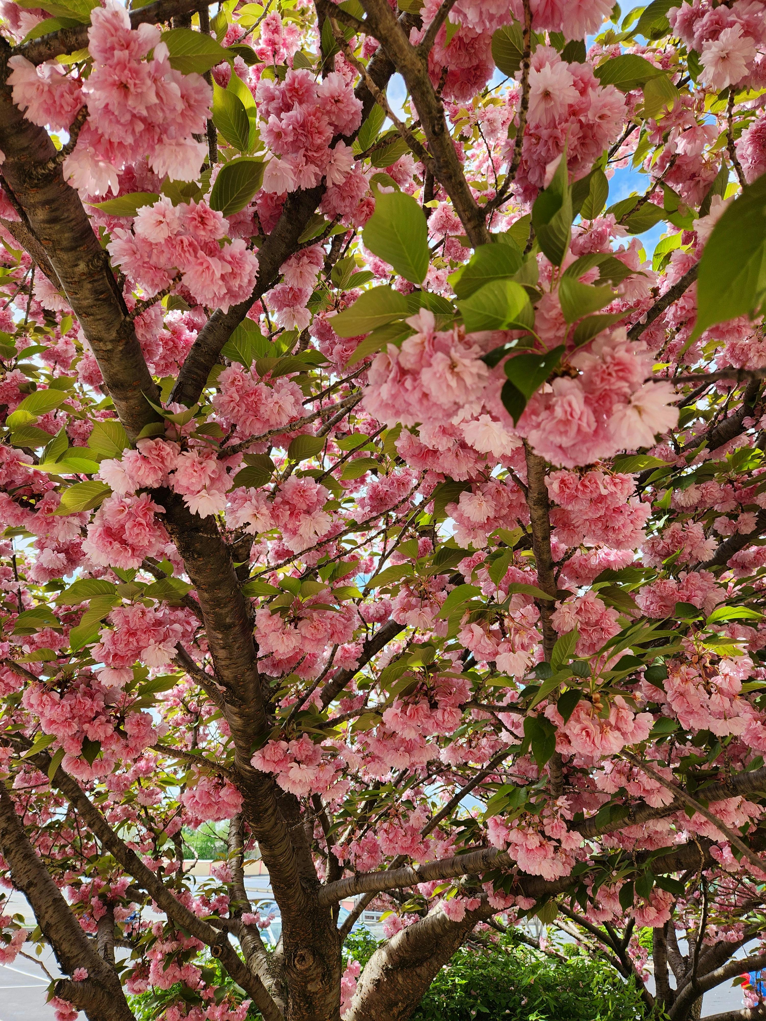 Navbar Background Photos, Download The BEST Free Navbar Background ...