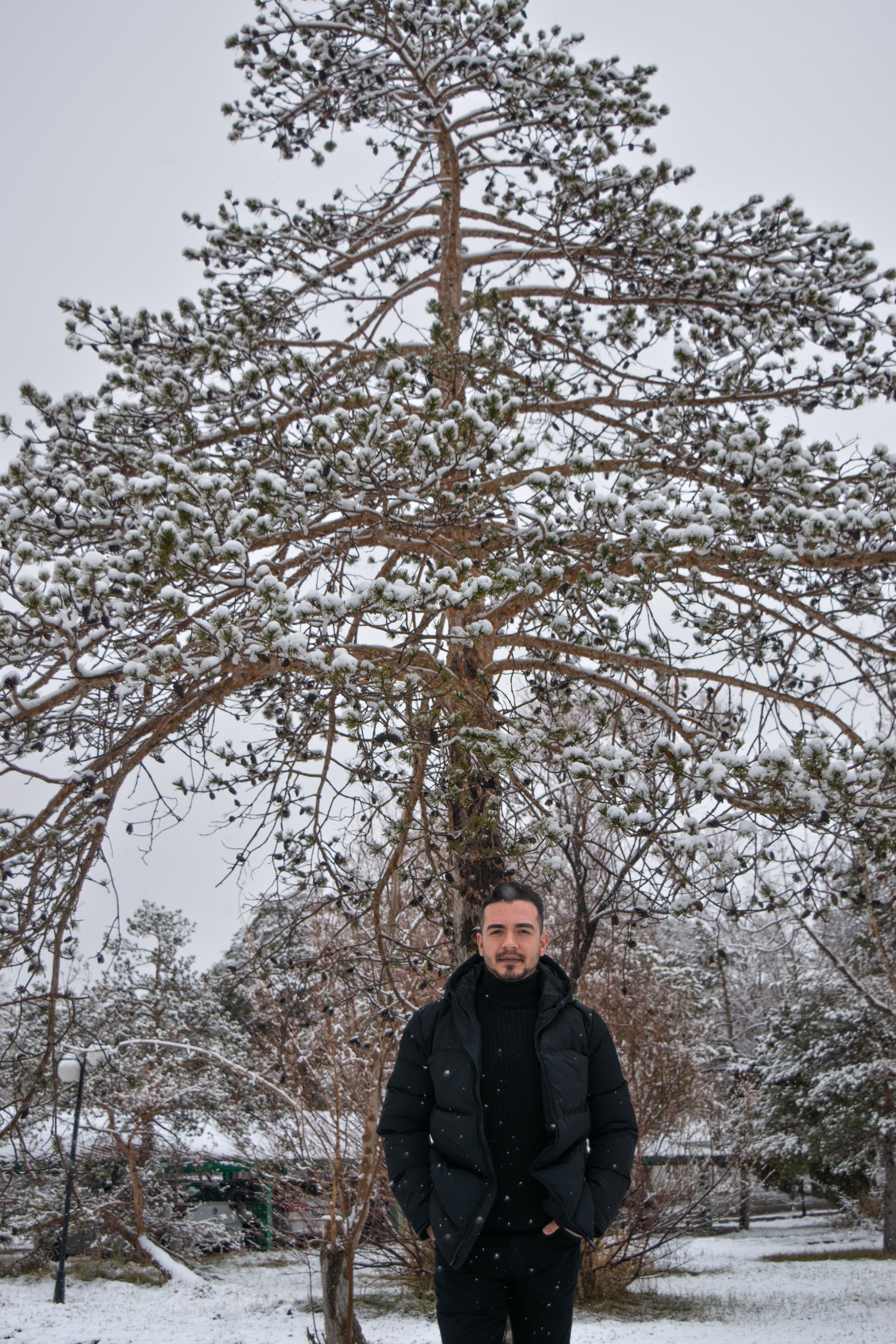 Cold Weather Photos, Download The BEST Free Cold Weather Stock Photos ...