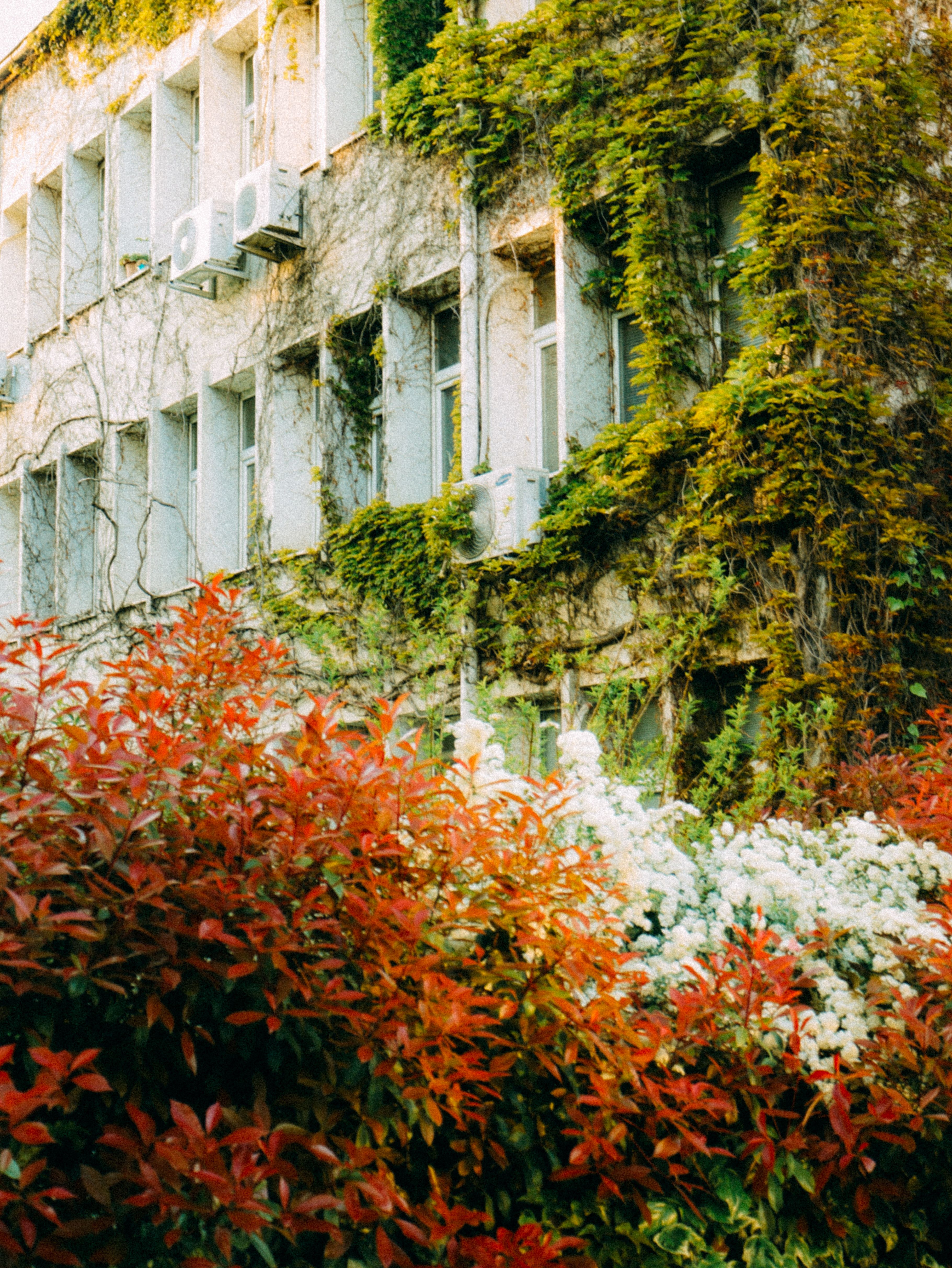 Building with Vibrant Autumn Foliage · Free Stock Photo