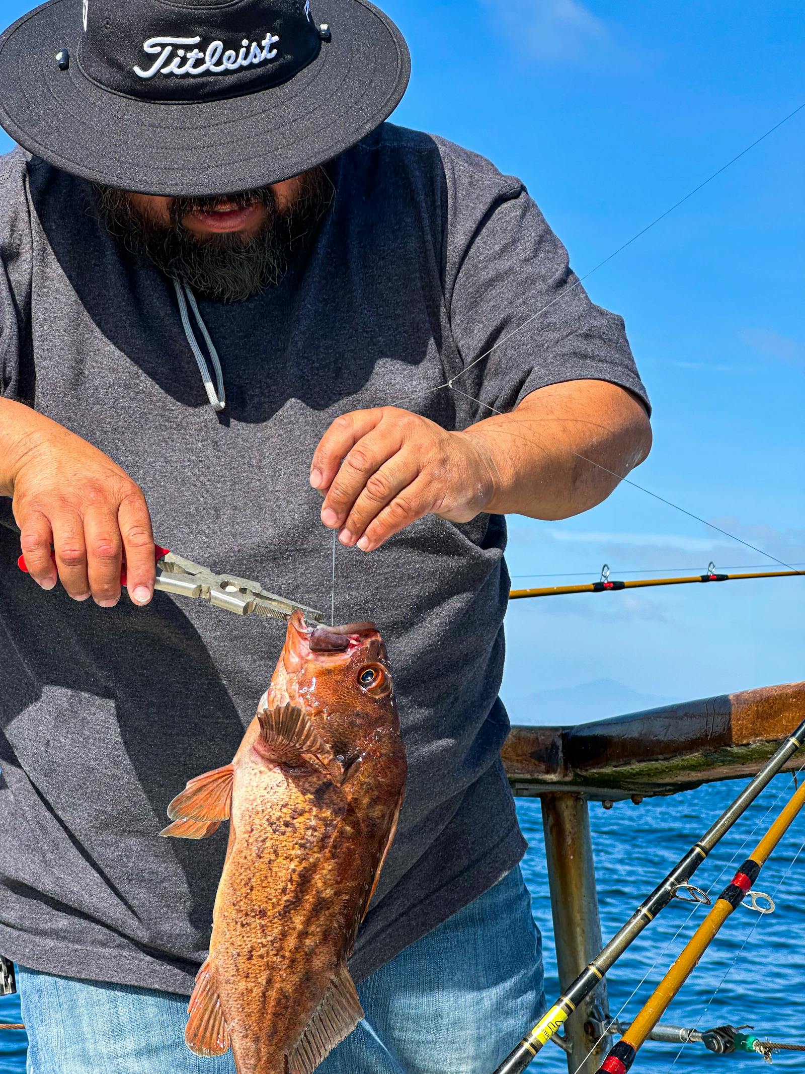 Bass Fish Photos, Download The BEST Free Bass Fish Stock Photos & HD Images