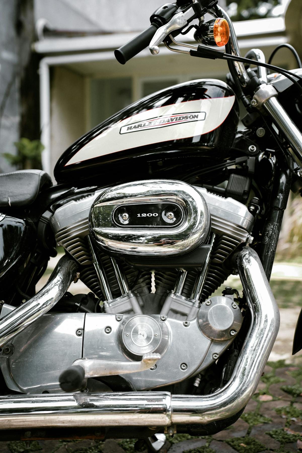 Harley Davidson Fatboy Photos, Download The BEST Free Harley Davidson ...