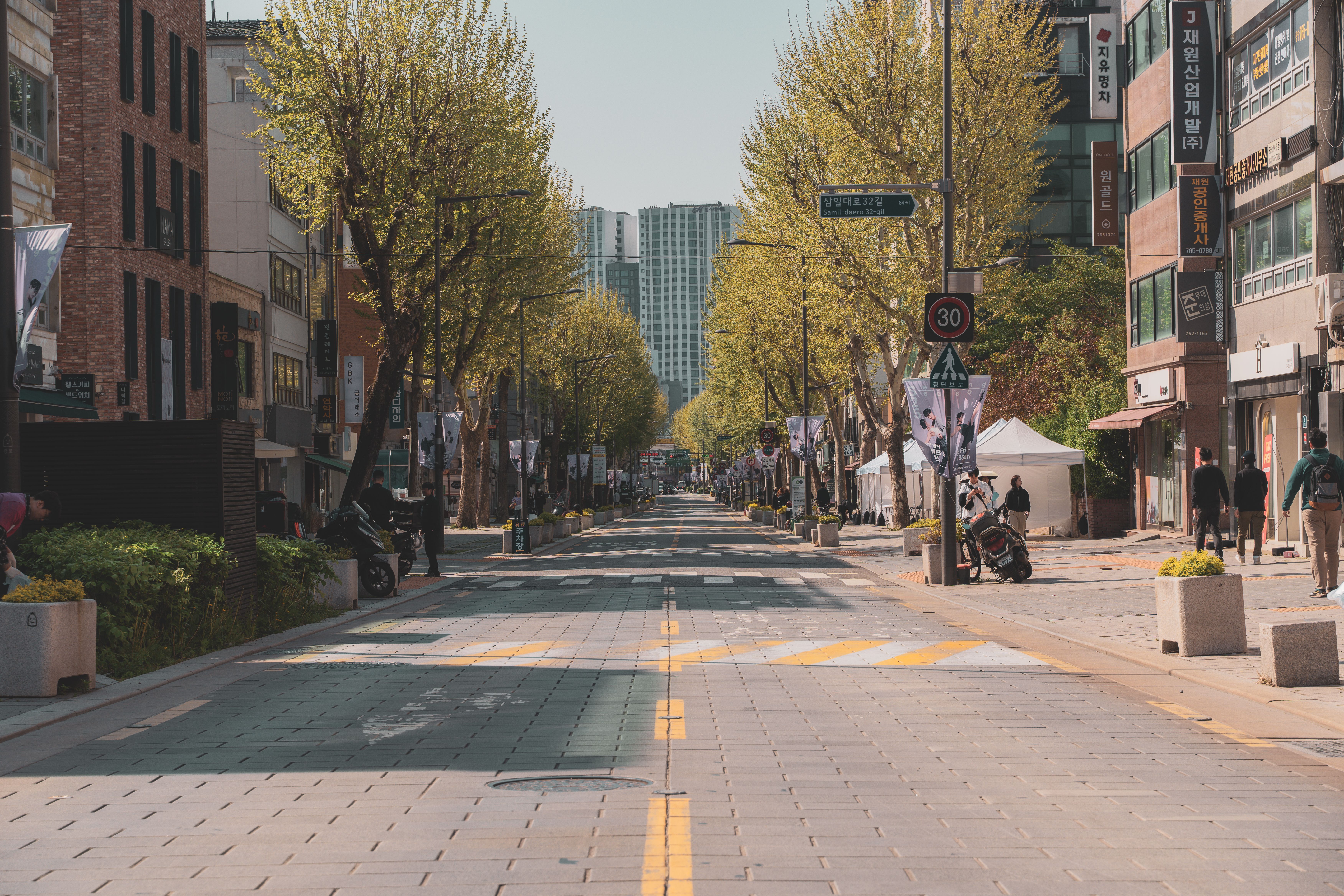 Sunny Urban Street Scene with Trees · Free Stock Photo