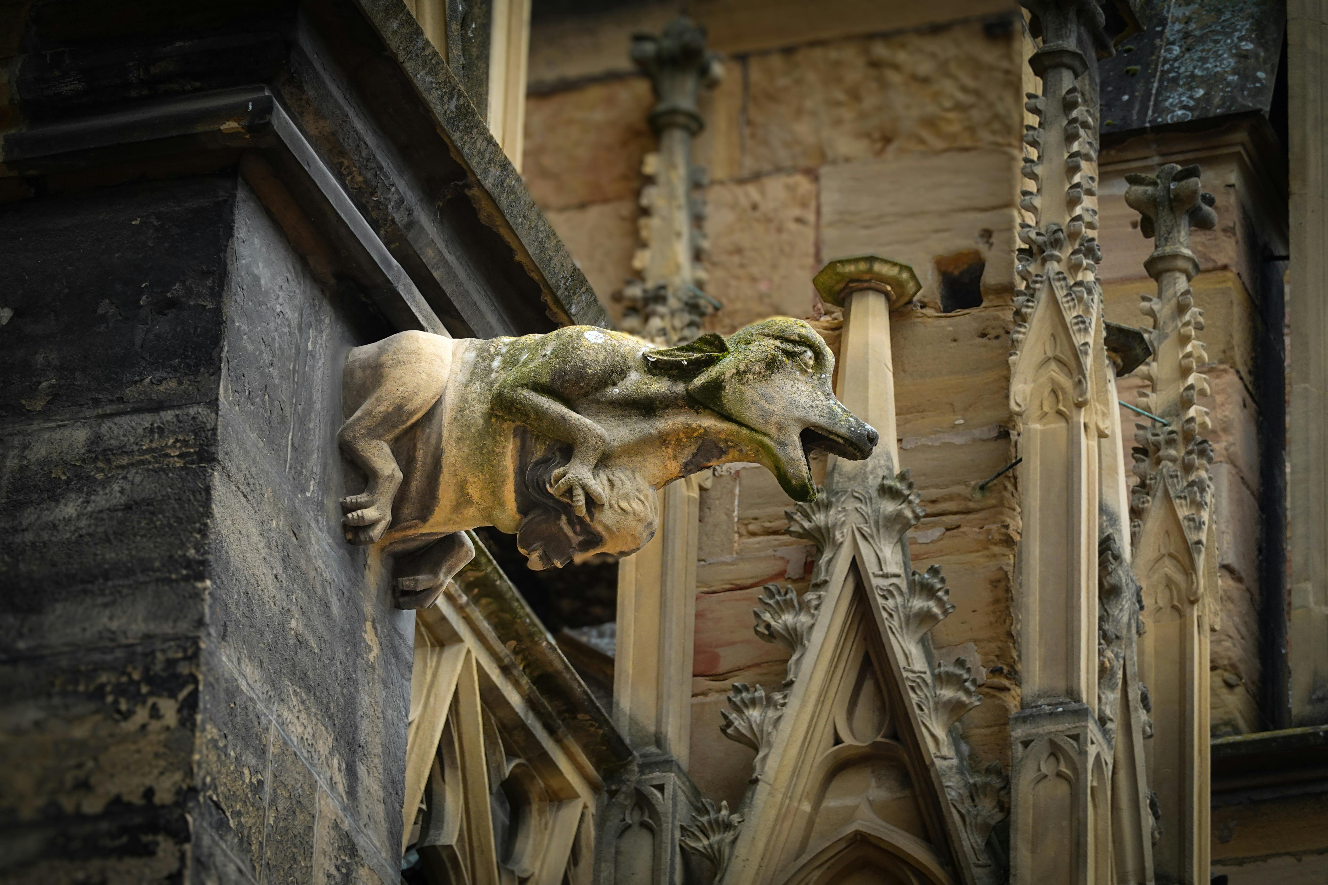 Gothic Gargoyle Sculpture on Historic Building · Free Stock Photo