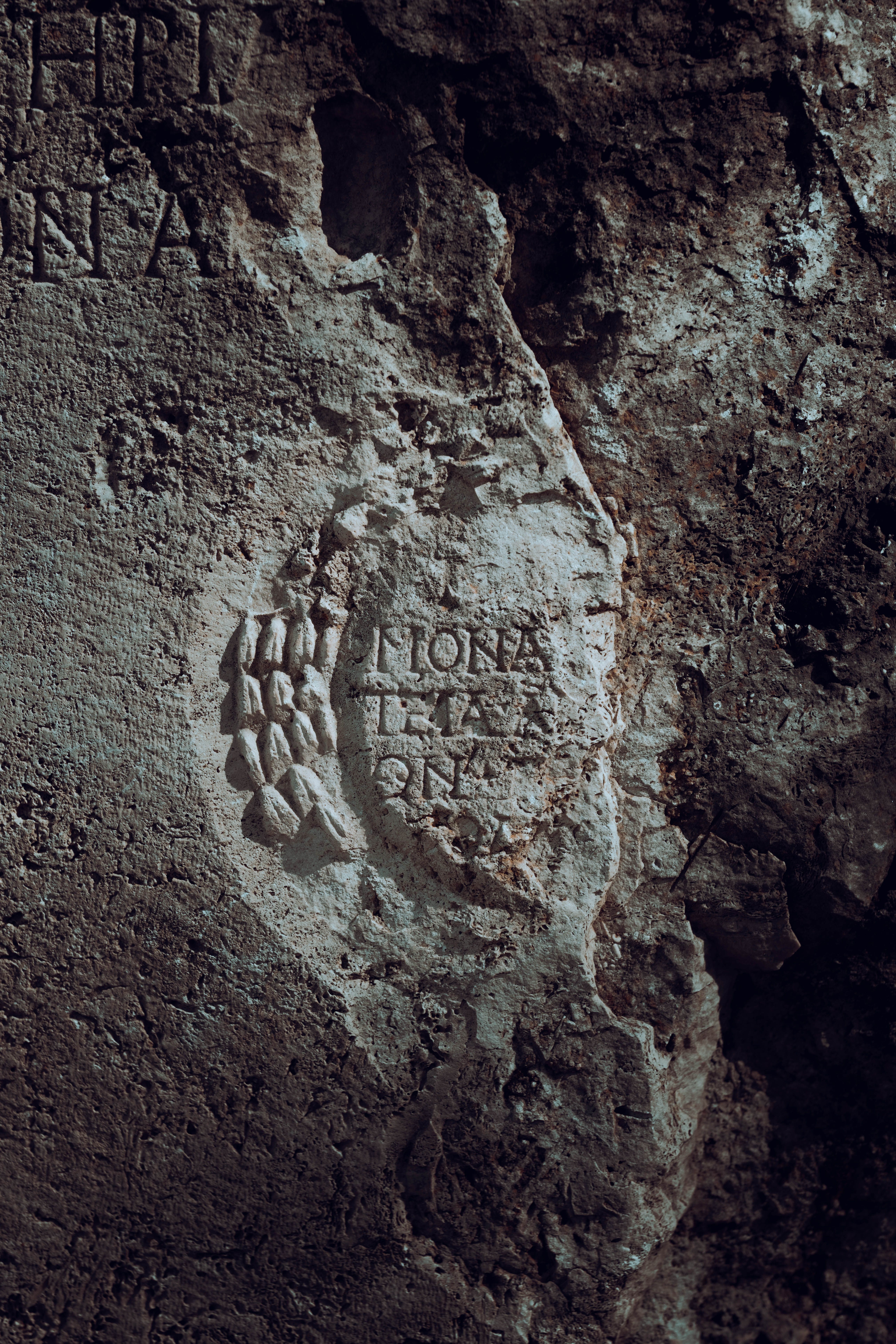Roman Fossils Photos, Download The BEST Free Roman Fossils Stock Photos ...