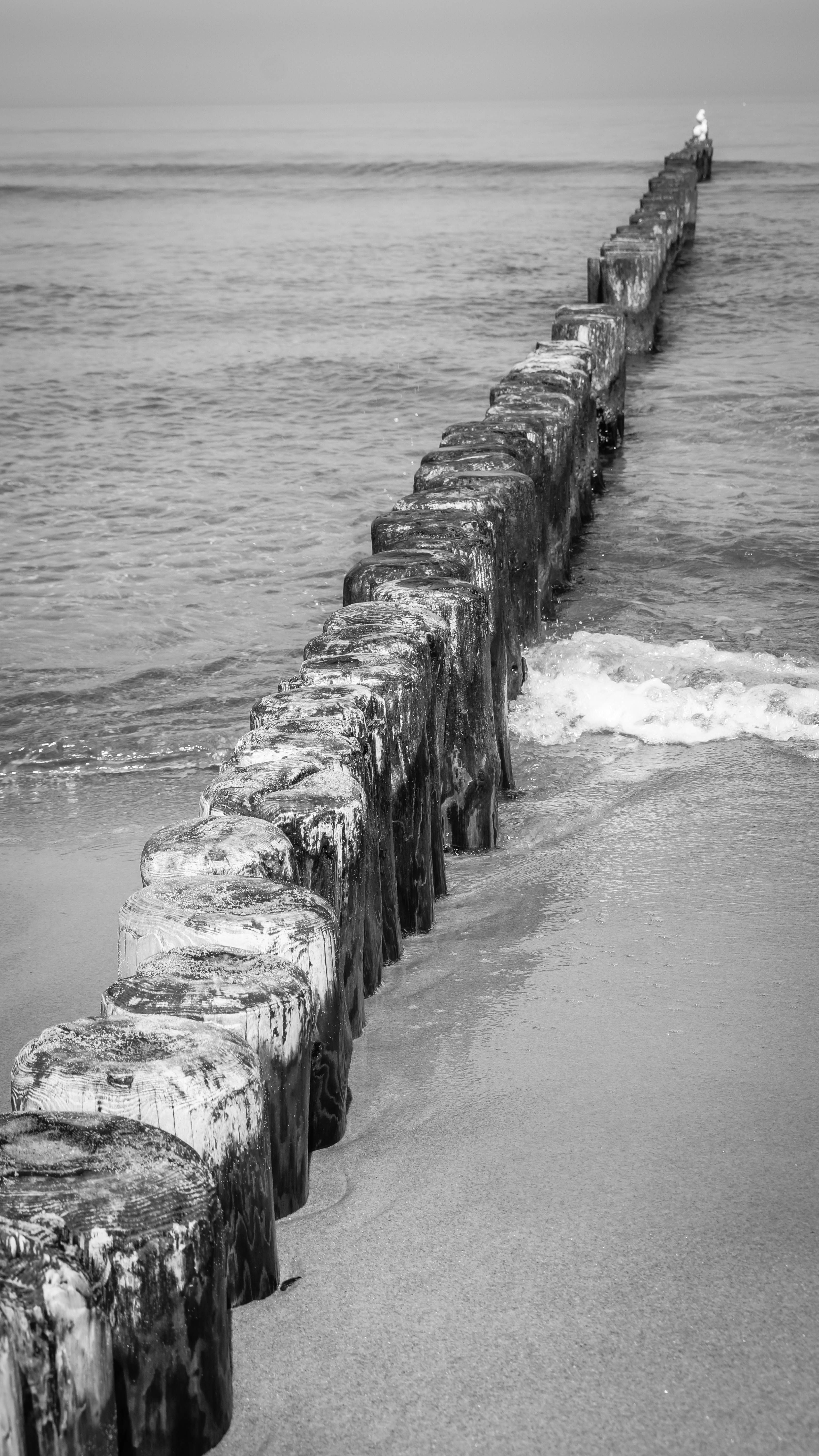 Groyne Have Photos, Download The BEST Free Groyne Have Stock Photos ...
