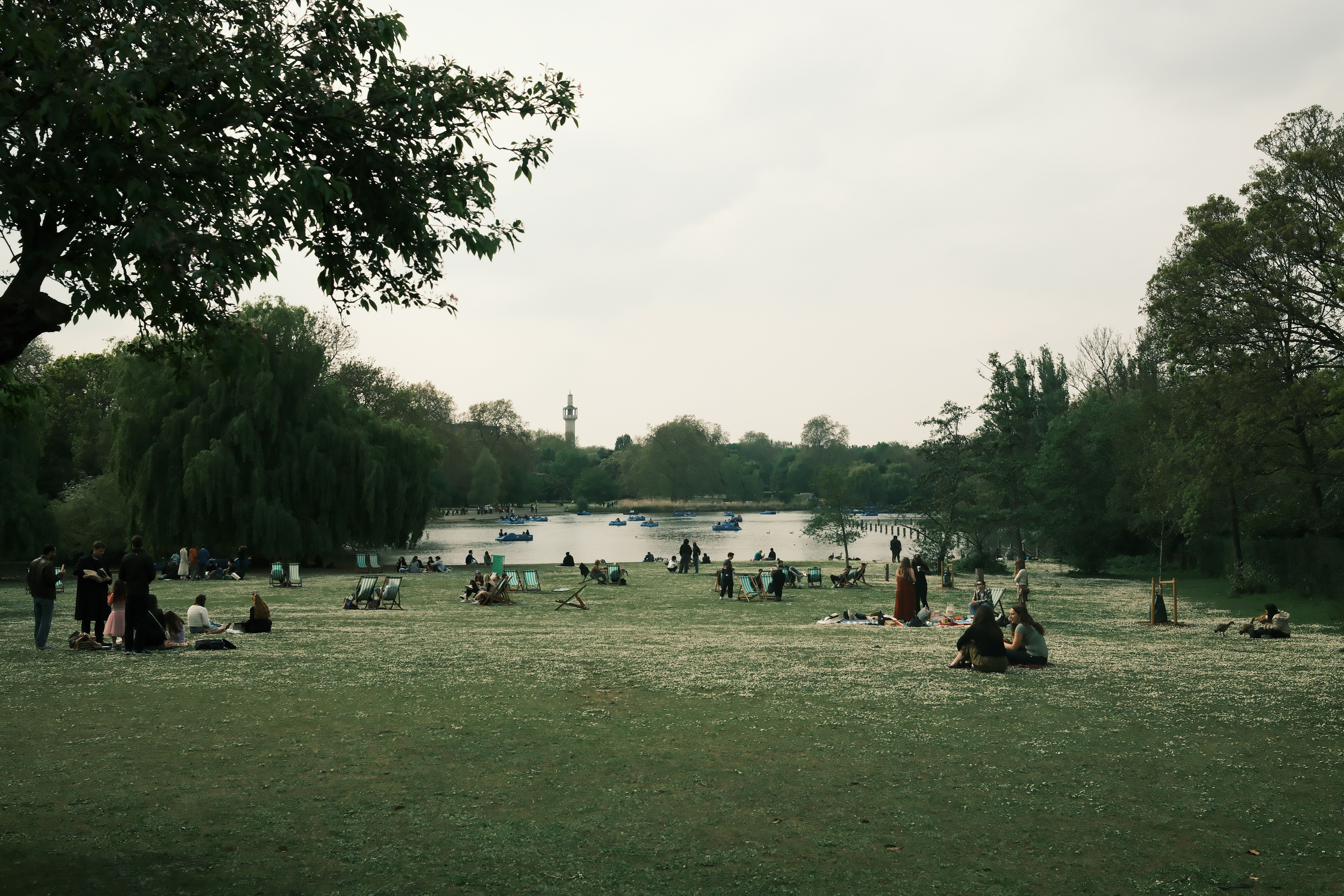 Relaxing Day at Park with Scenic Lake View · Free Stock Photo