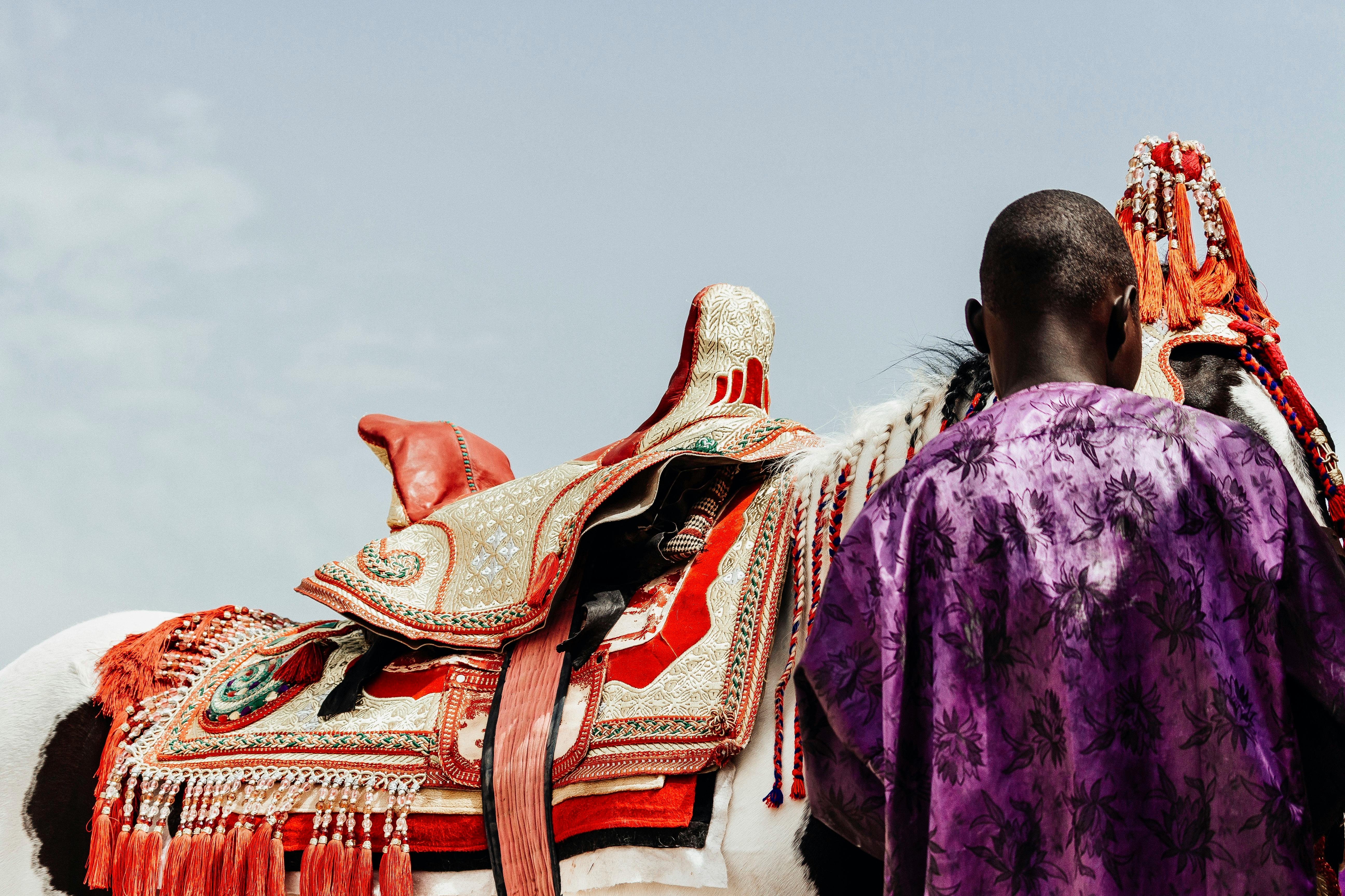 Donkey+And+Horse+Mating Photos, Download The BEST Free Donkey+And+Horse ...