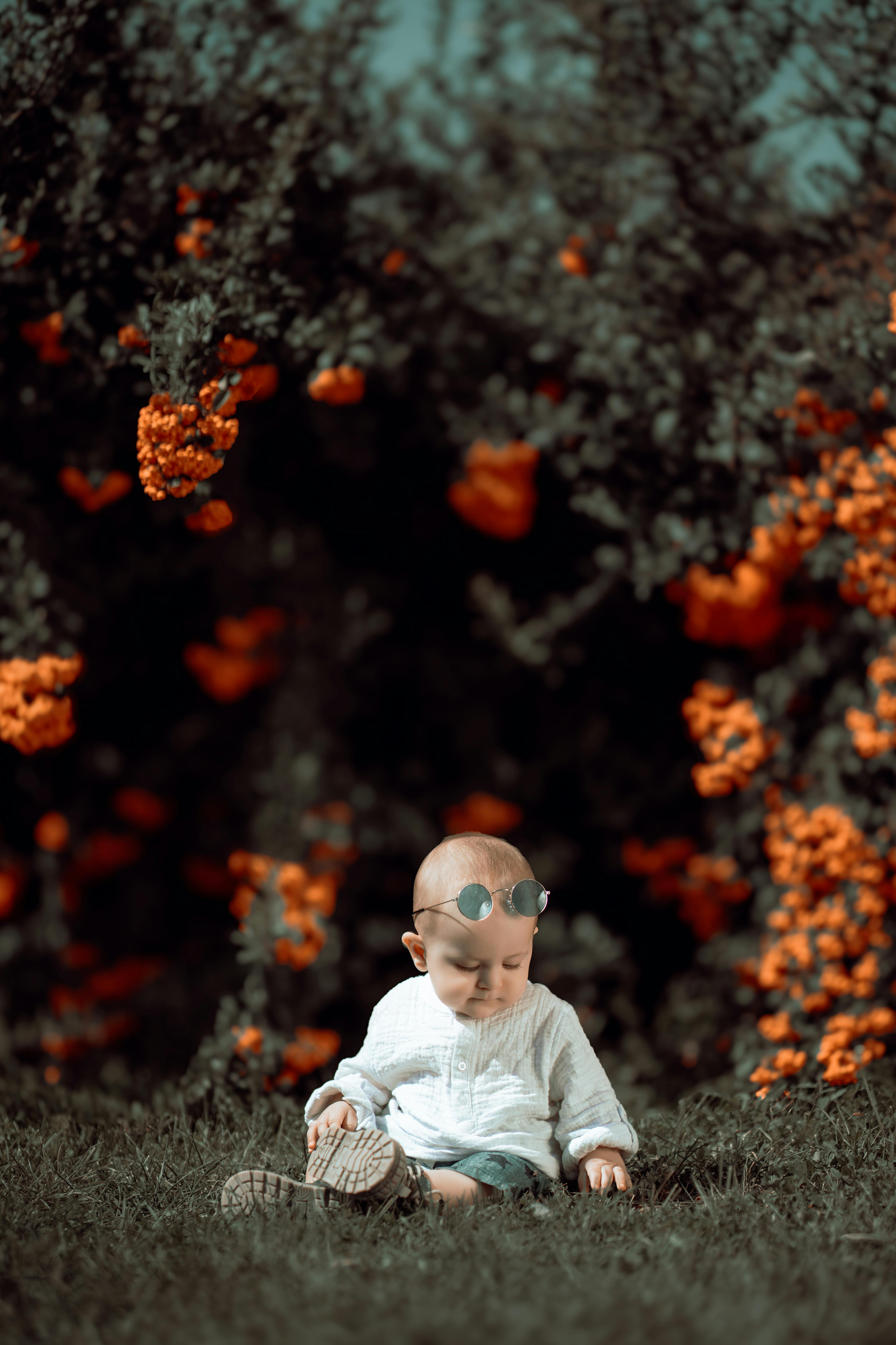 Baby Ele Photos, Download The BEST Free Baby Ele Stock Photos & HD Images