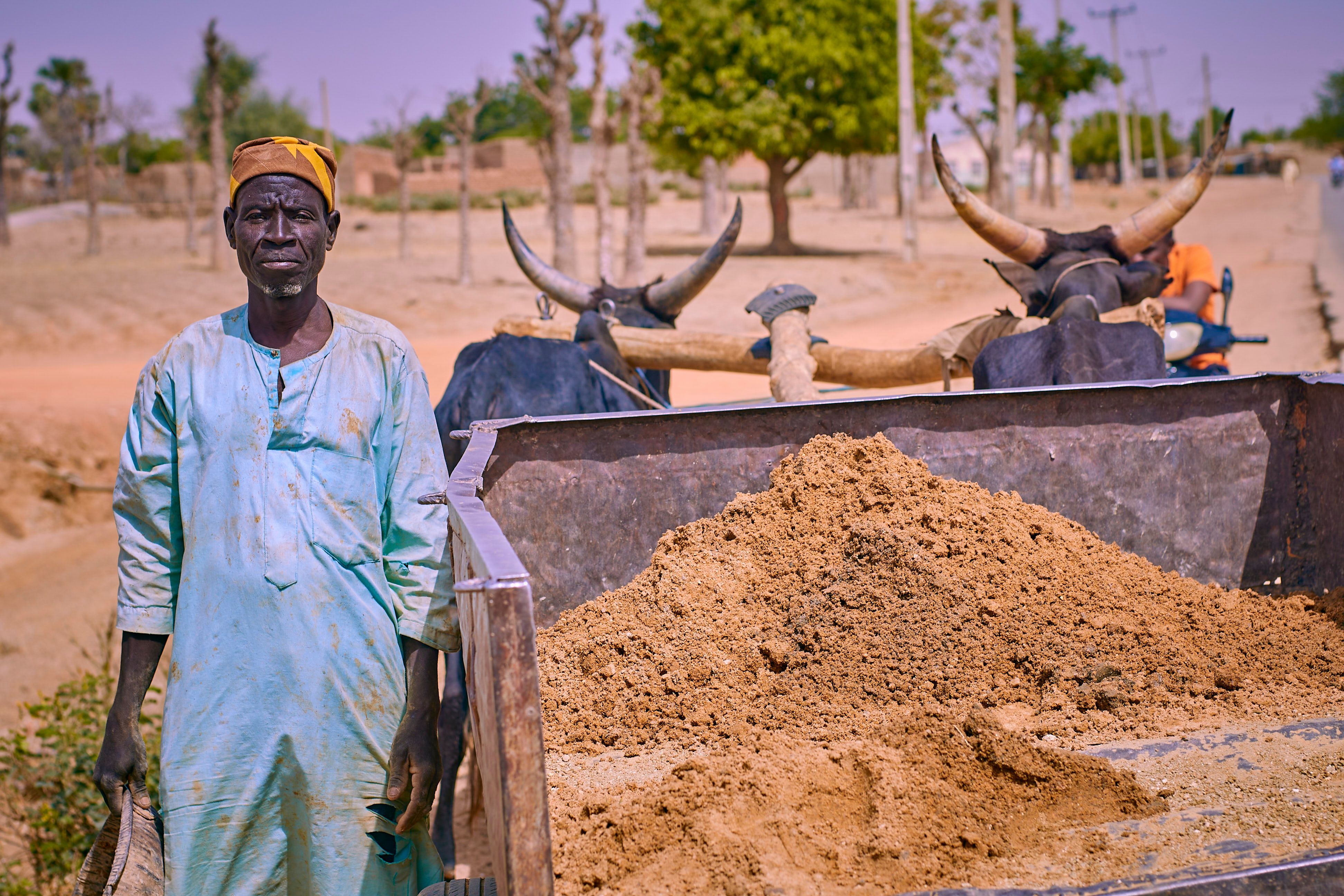 African Farmer with Ox-Drawn Cart in Rural Landscape · Free Stock Photo