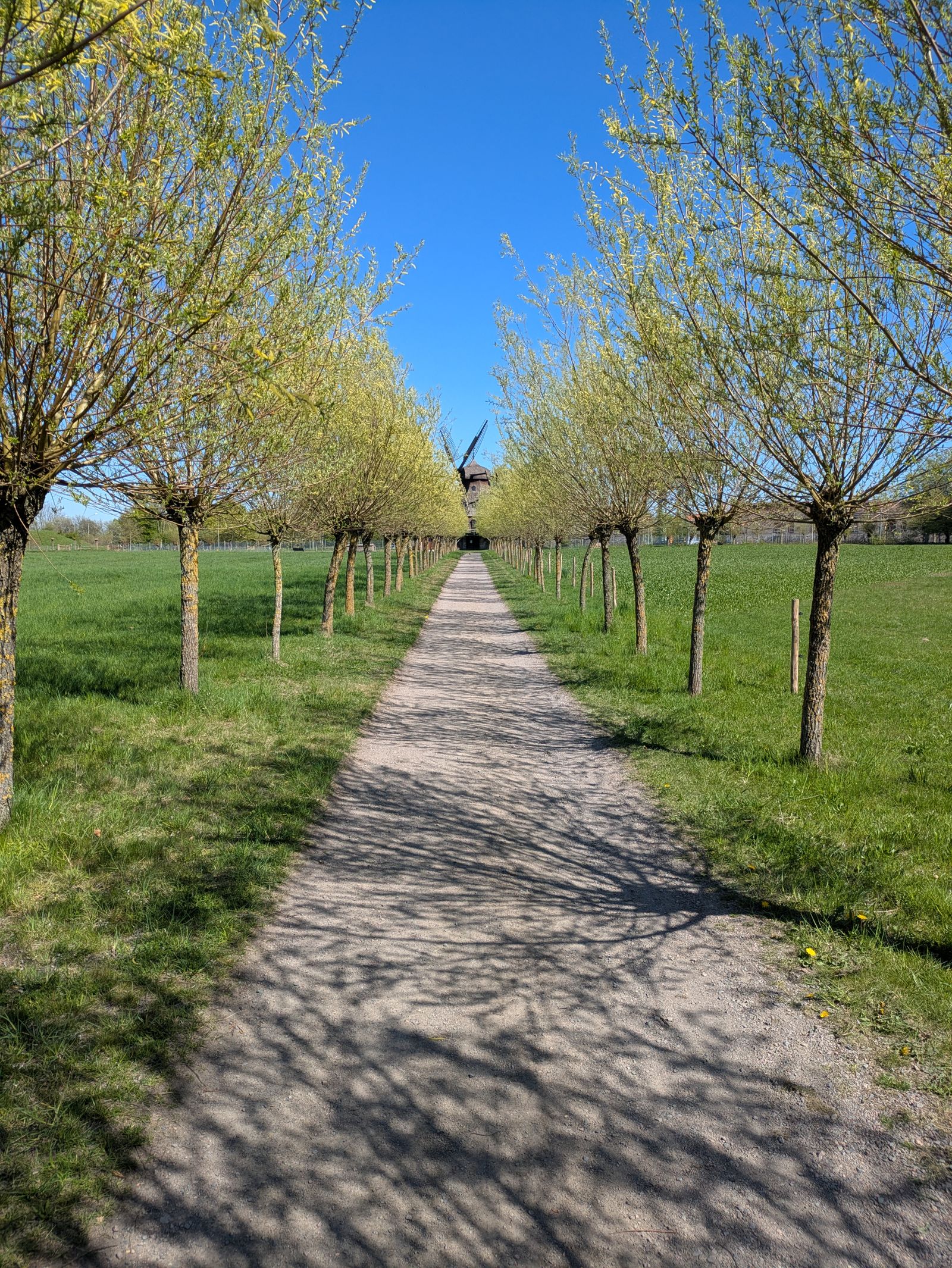 Dirt Path Photos, Download The BEST Free Dirt Path Stock Photos & HD Images