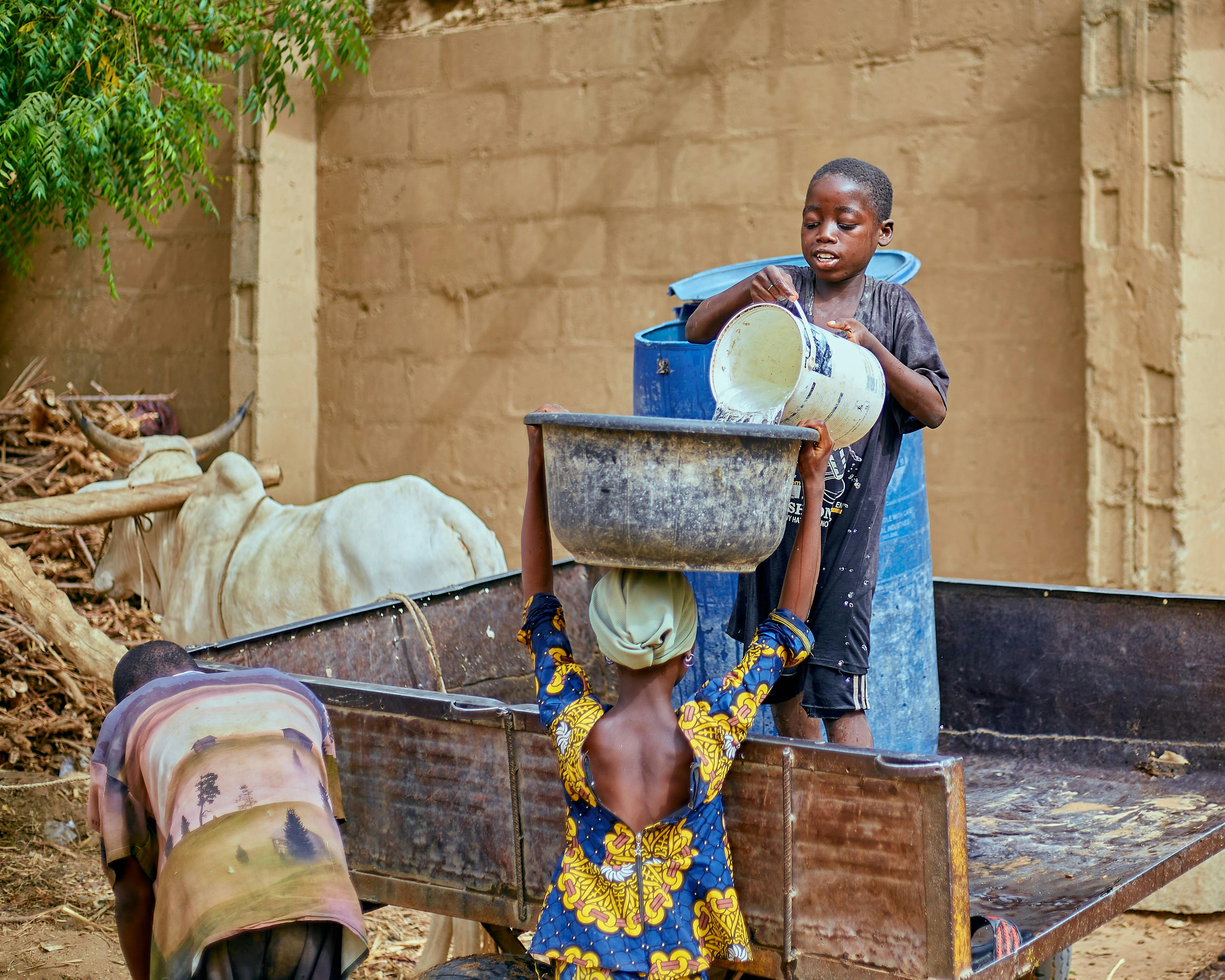 Children Collecting Water in Rural Setting · Free Stock Photo