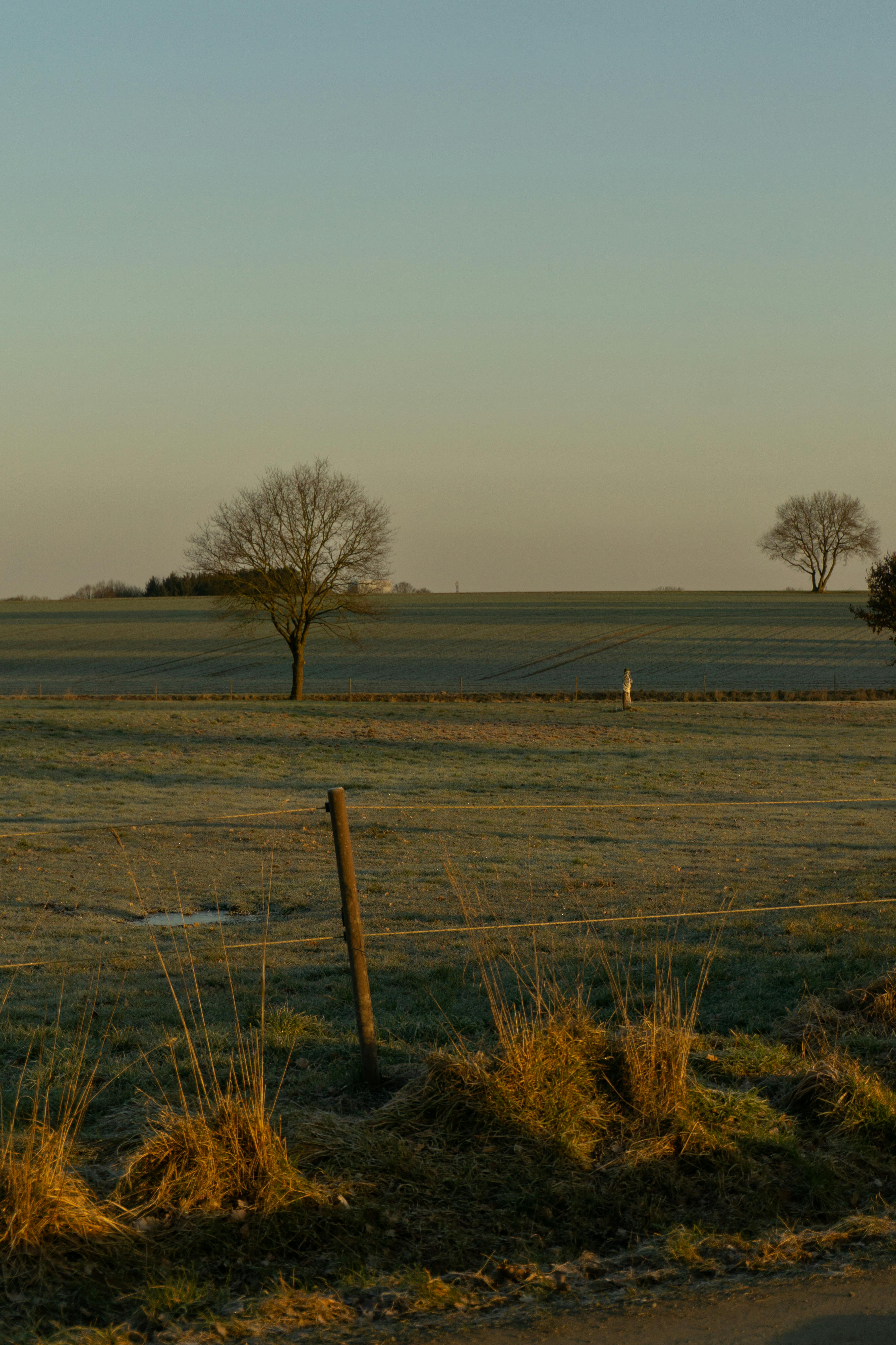 Scenic Sunrise Landscape in Achim, Germany · Free Stock Photo