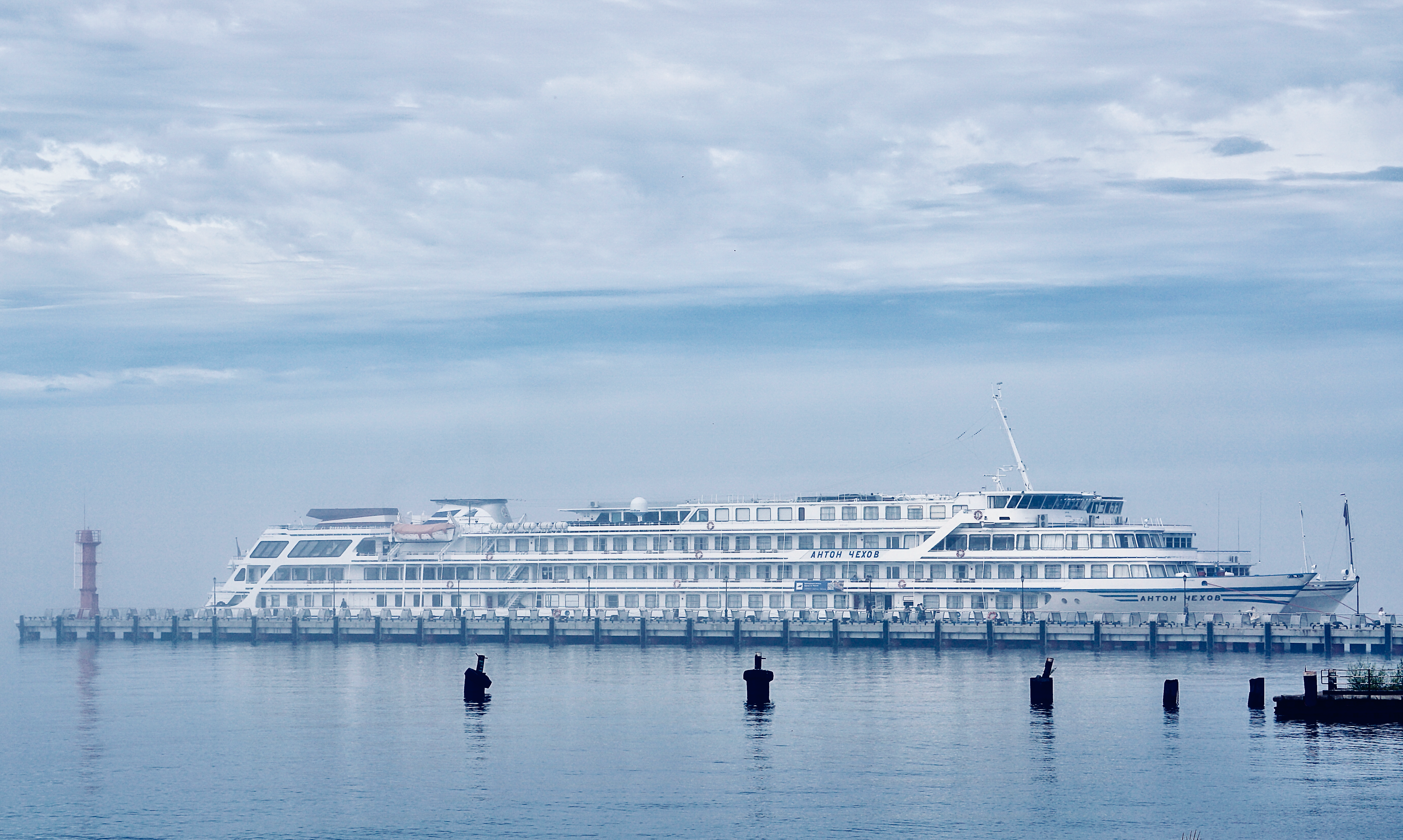 Majestic Cruise Ship Docked at Misty Pier · Free Stock Photo