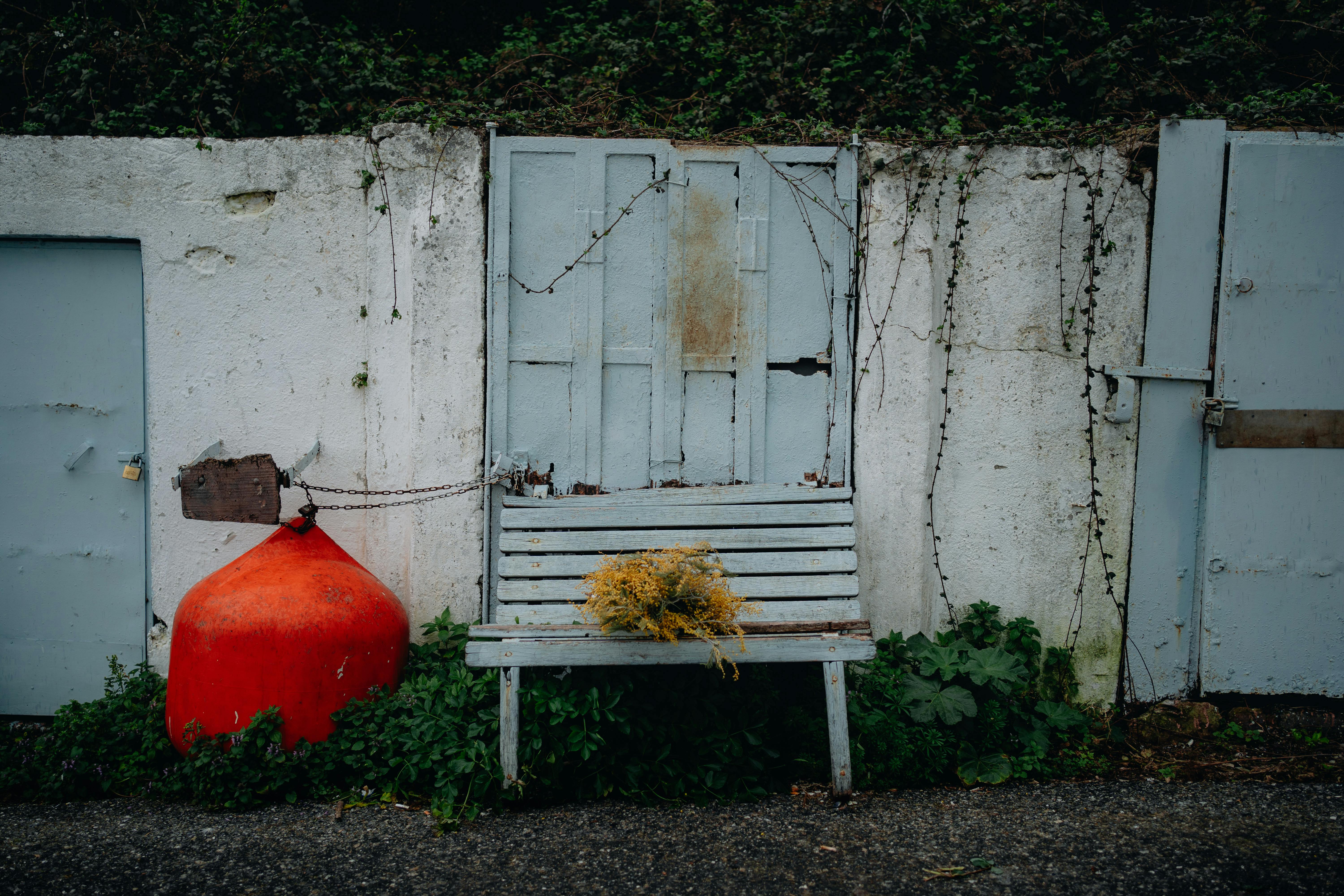 Beyza Kaplan - 사진