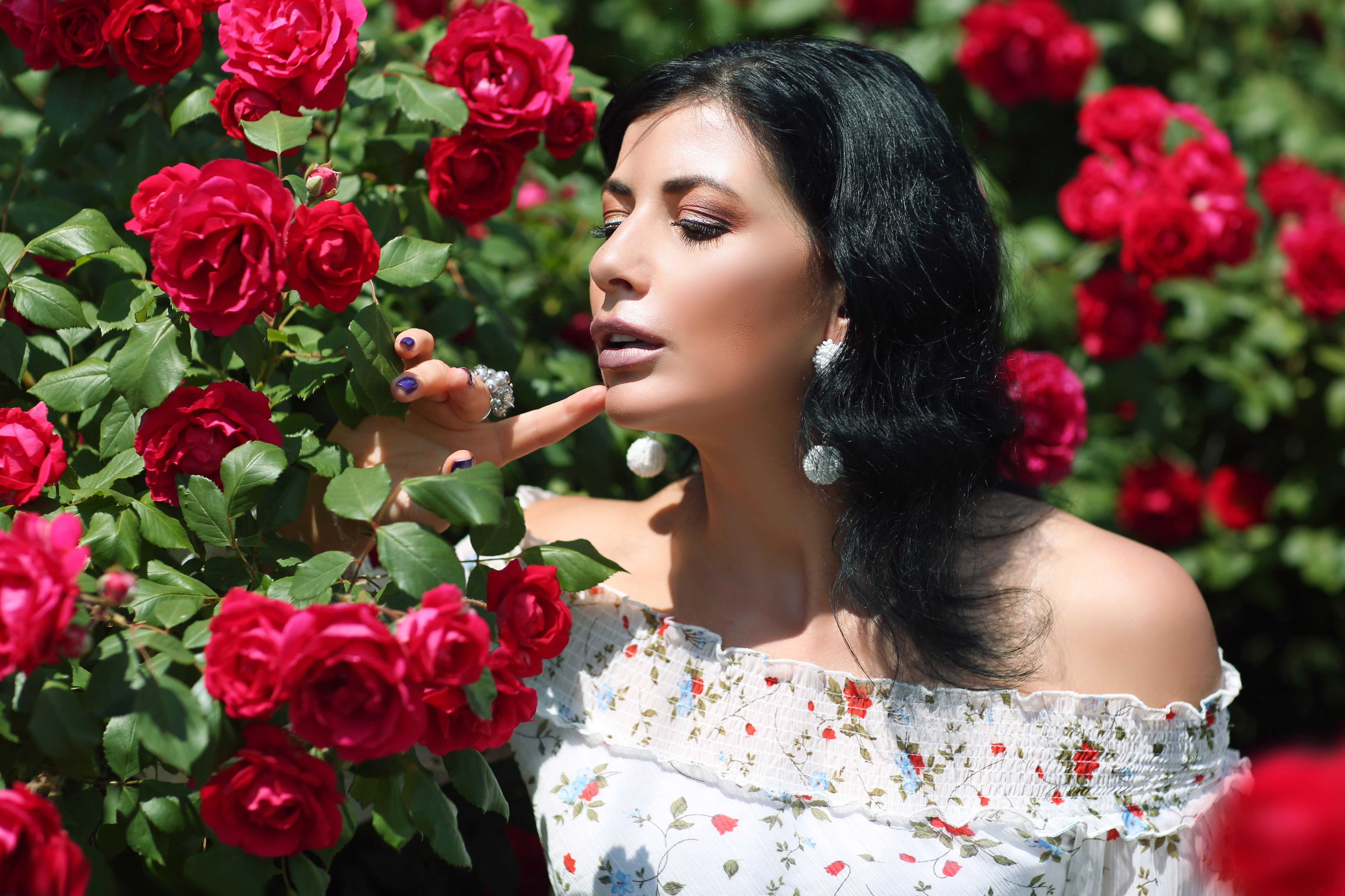 Rose Garden Photos, Download The BEST Free Rose Garden Stock Photos ...