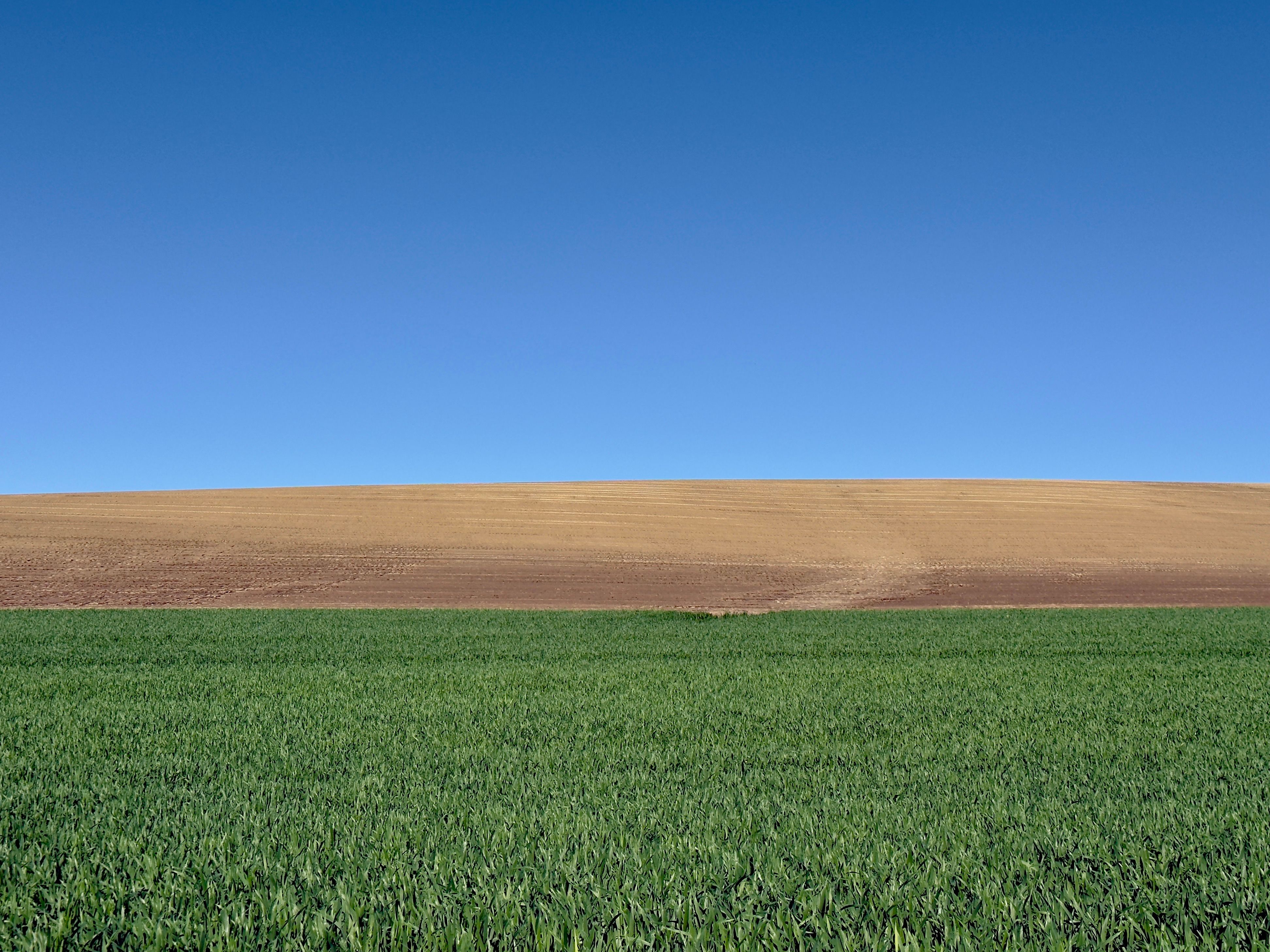Vast Hungarian Agricultural Field with Blue Sky · Free Stock Photo
