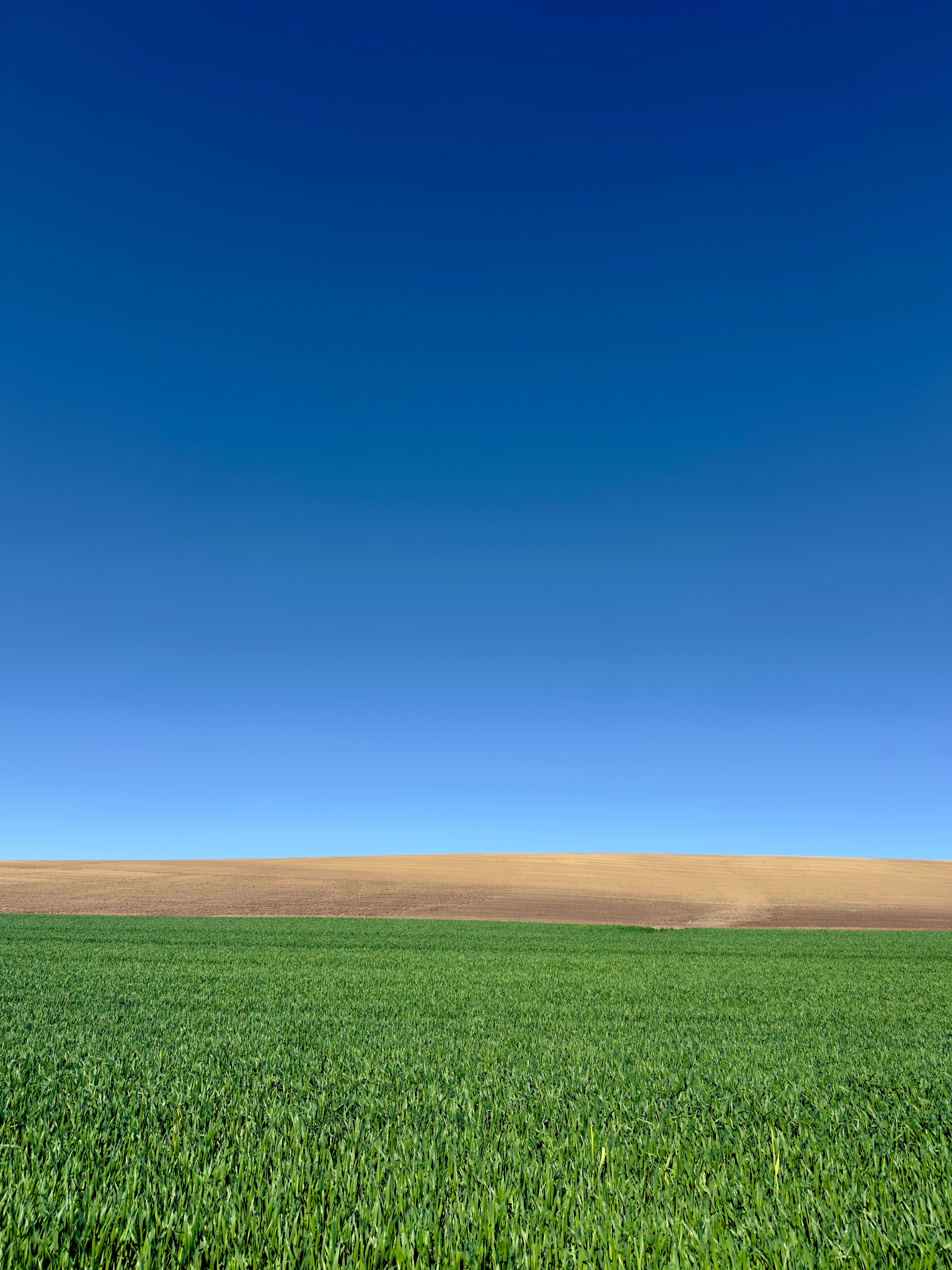 Vast Hungarian Agricultural Fields Under Clear Blue Sky · Free Stock Photo