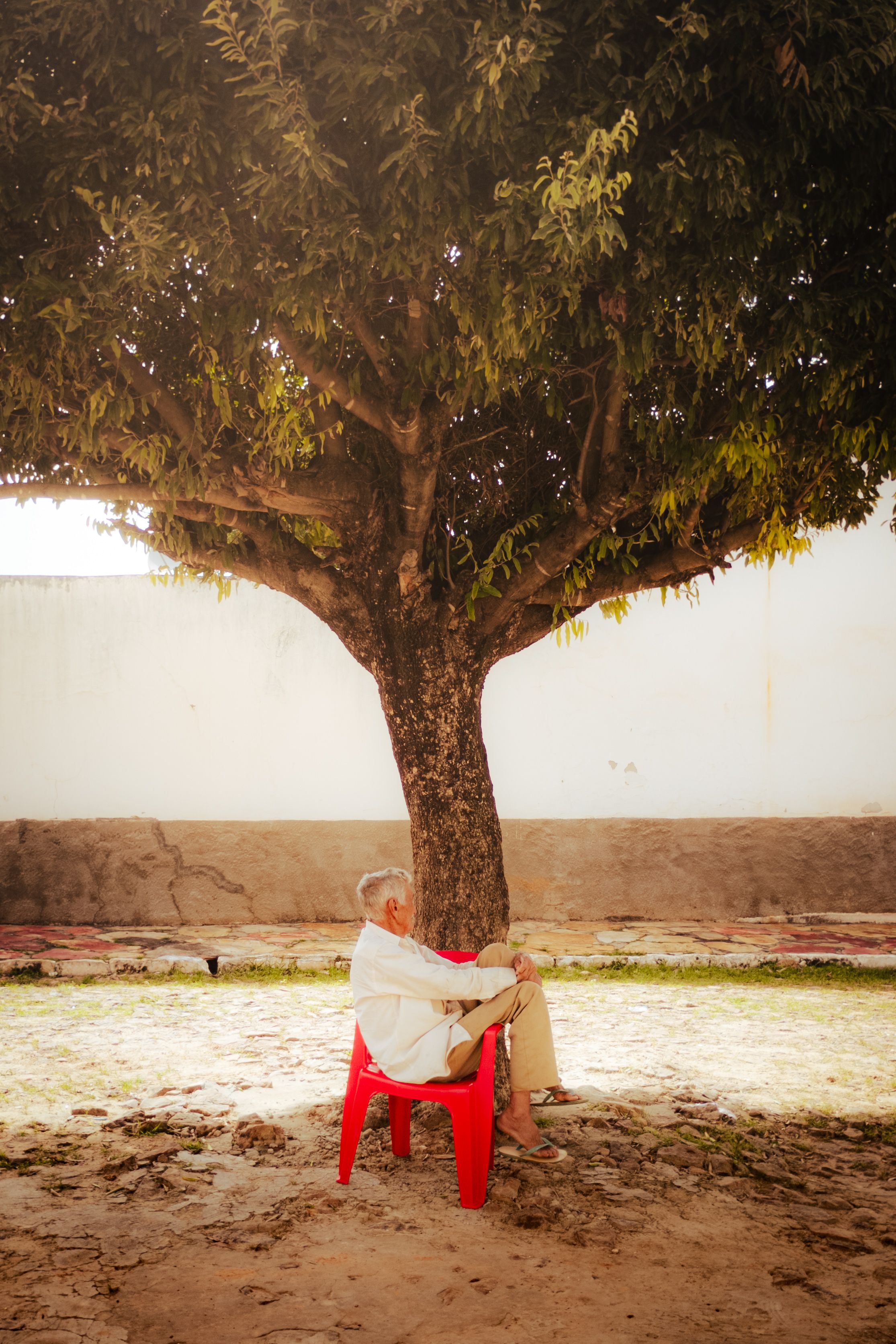 Elderly Man Relaxing Under a Tree in Brazil · Free Stock Photo