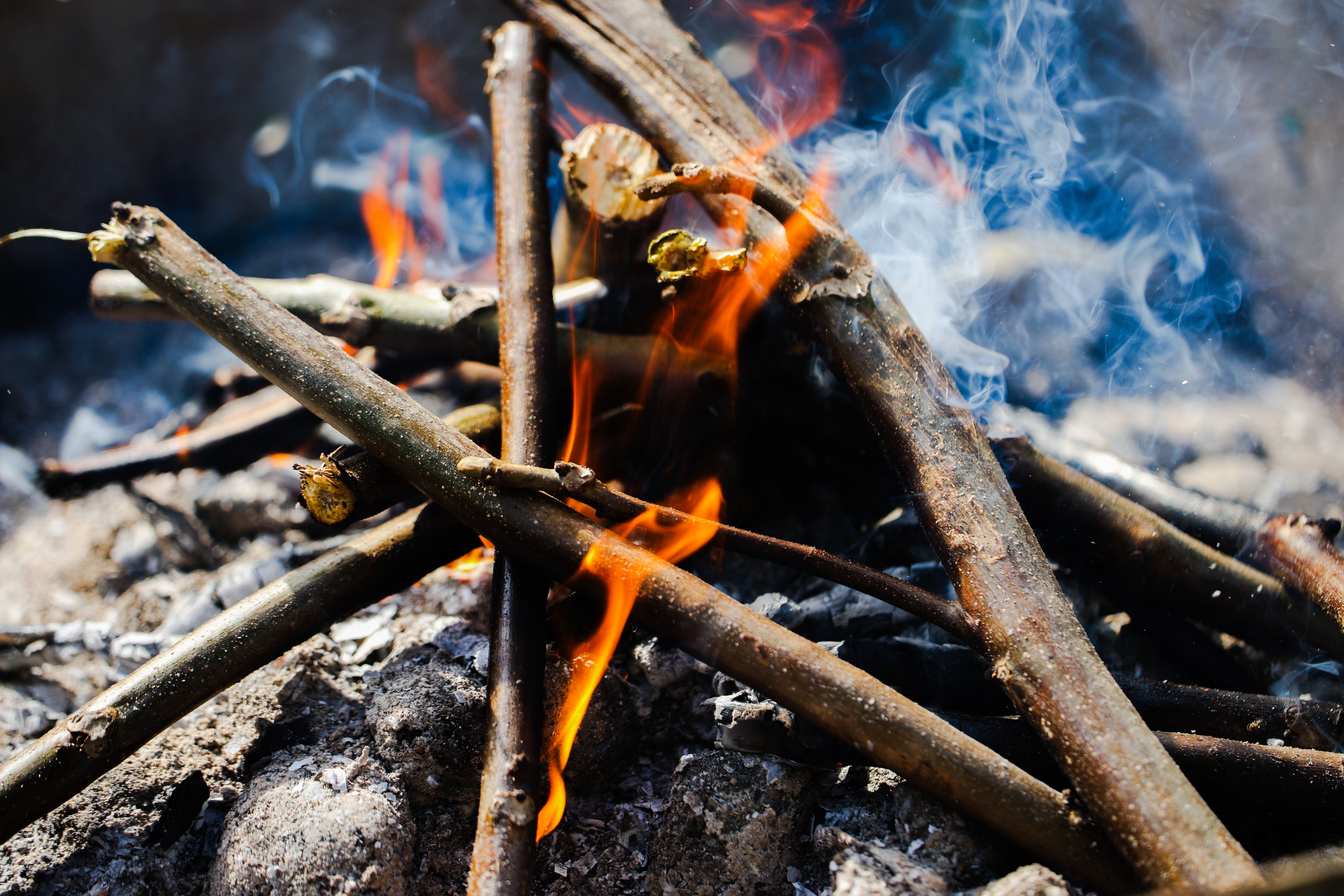 Close-up of Campfire with Burning Twigs · Free Stock Photo