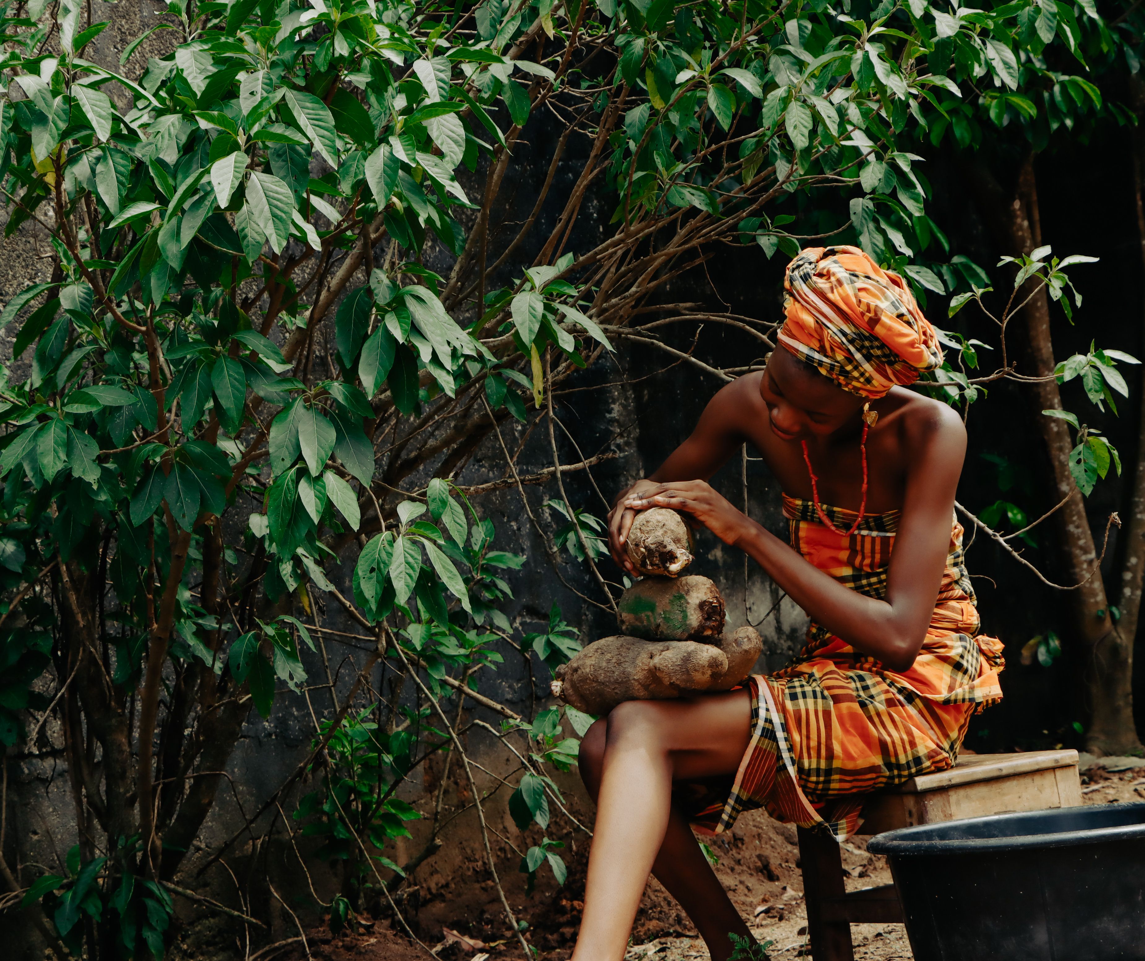 Woman Harvesting Yams in Rural Nigeria · Free Stock Photo
