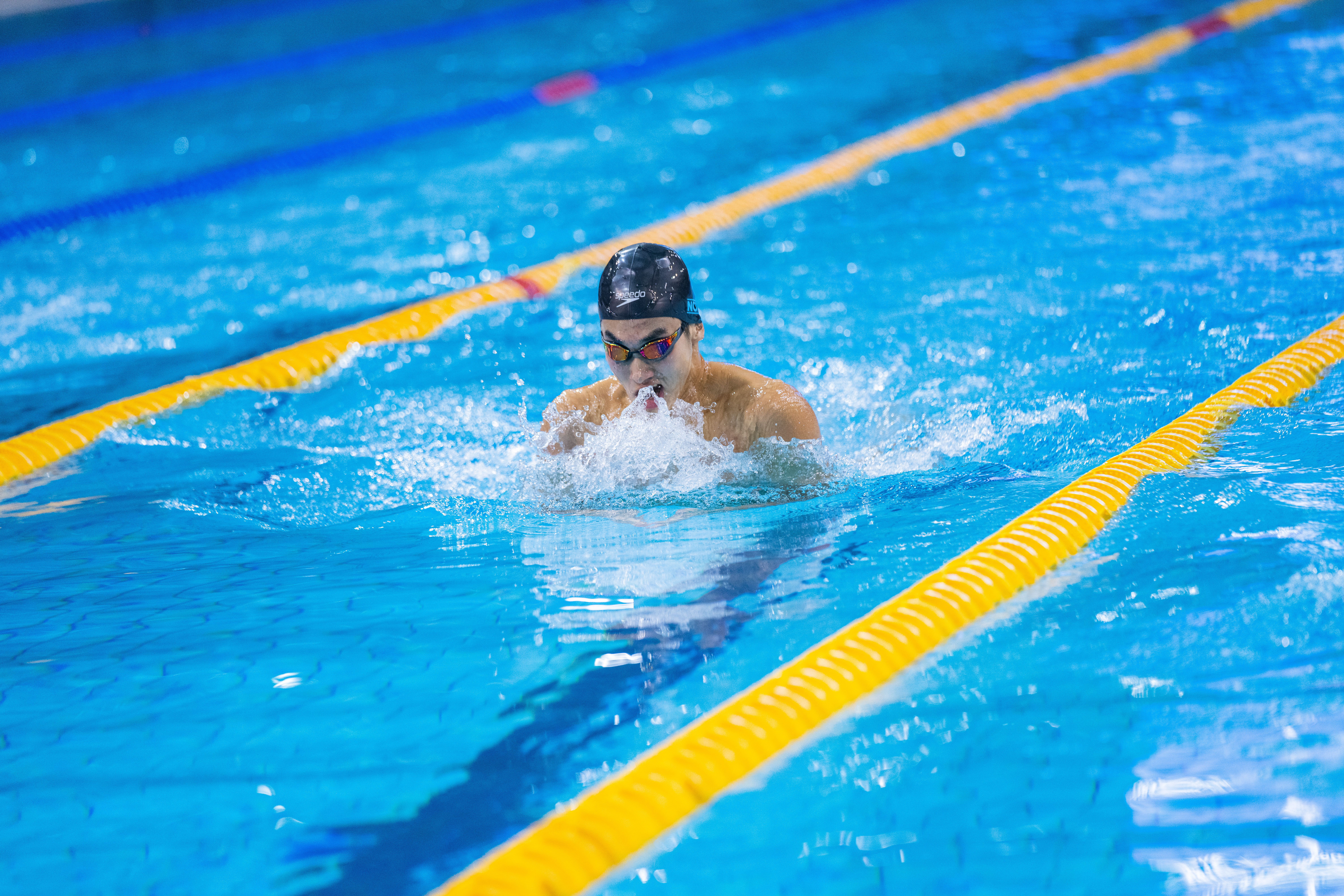 Competitive Swimmer Performing Breaststroke in Pool · Free Stock Photo