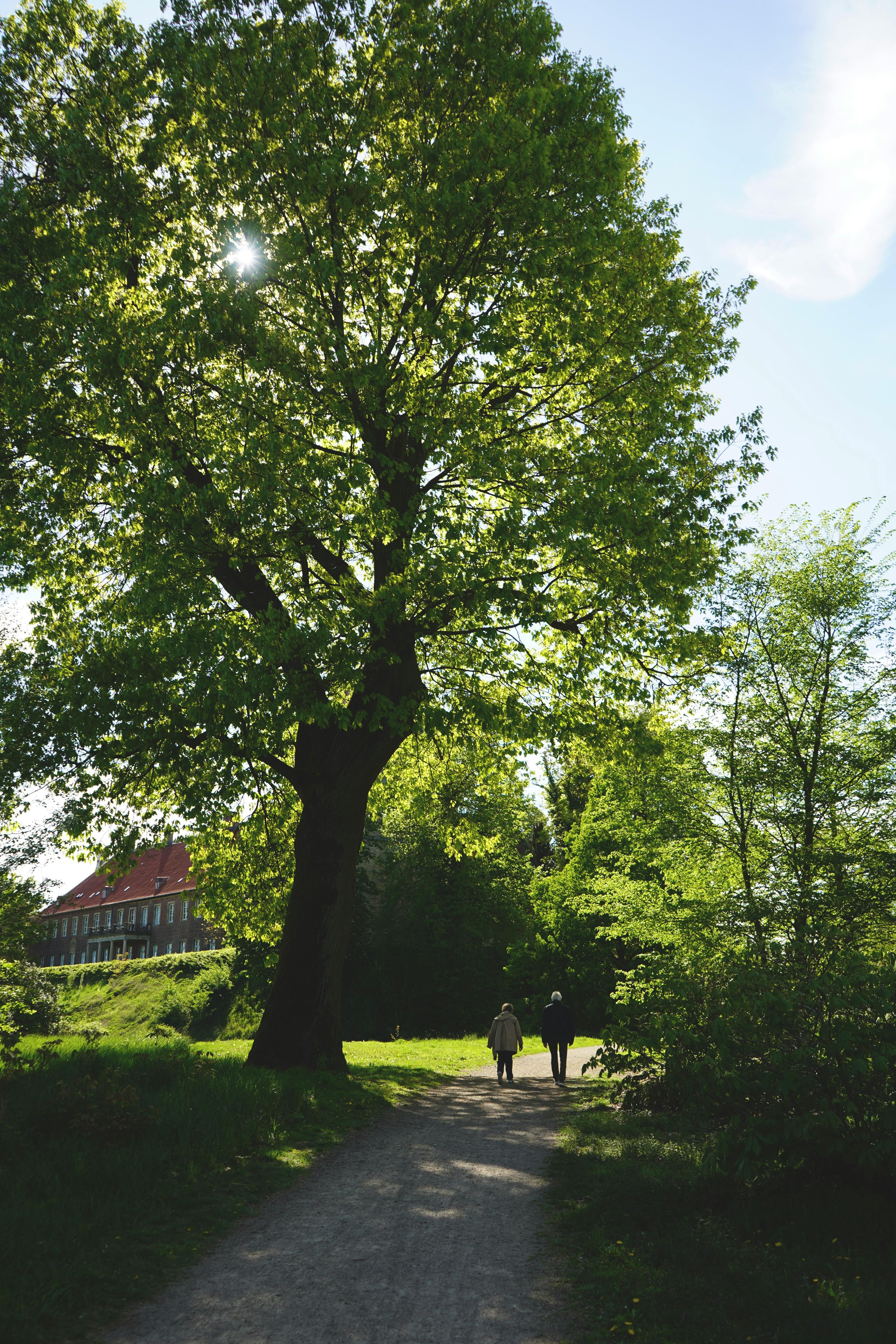 Amazon Alexa Photos, Download The BEST Free Amazon Alexa Stock Photos ...