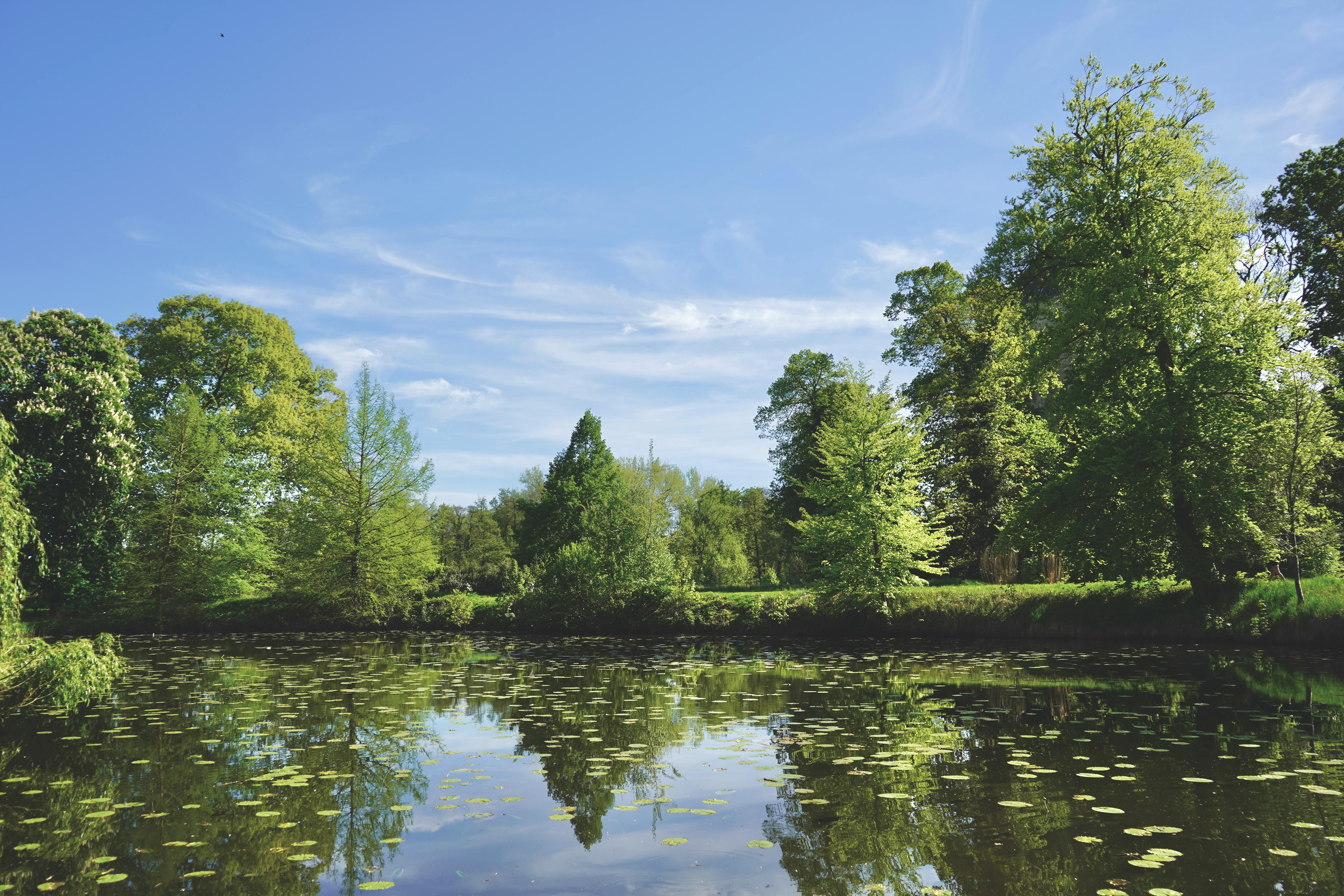 50mb Photos Photos, Download The BEST Free 50mb Photos Stock Photos ...