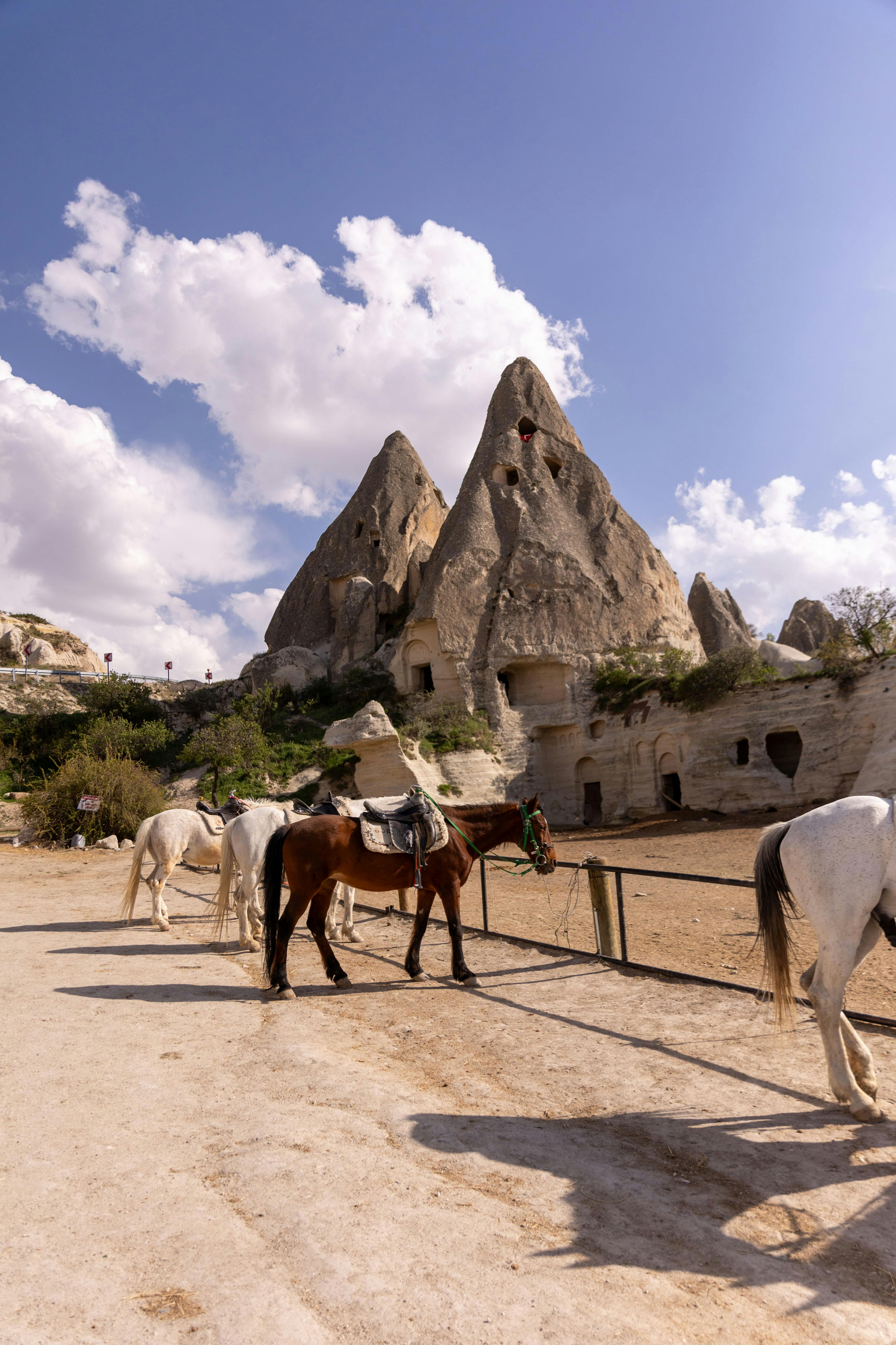 Horse Riding Tour Photos, Download The BEST Free Horse Riding Tour ...