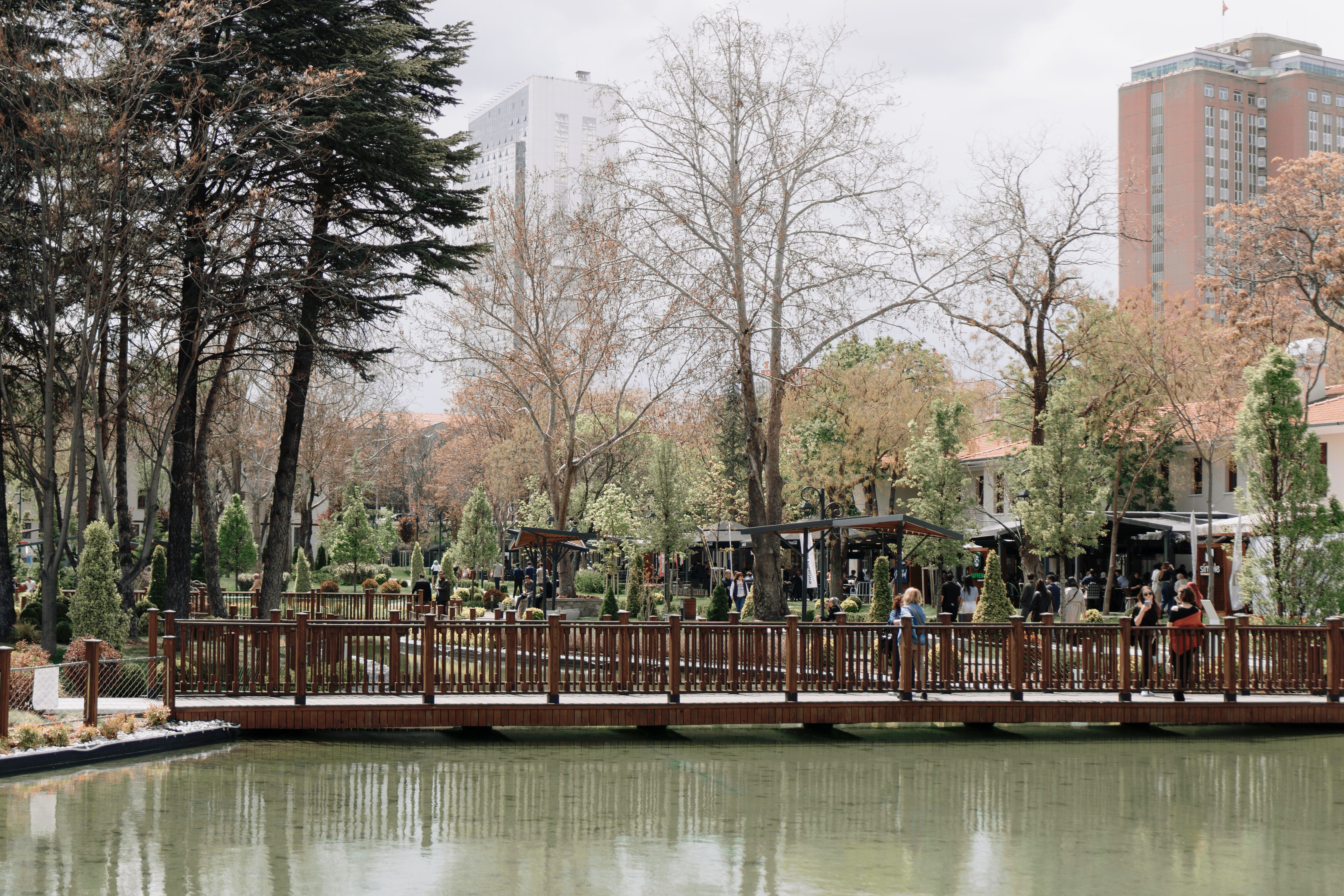 Scenic Park with Wooden Bridge and Trees · Free Stock Photo