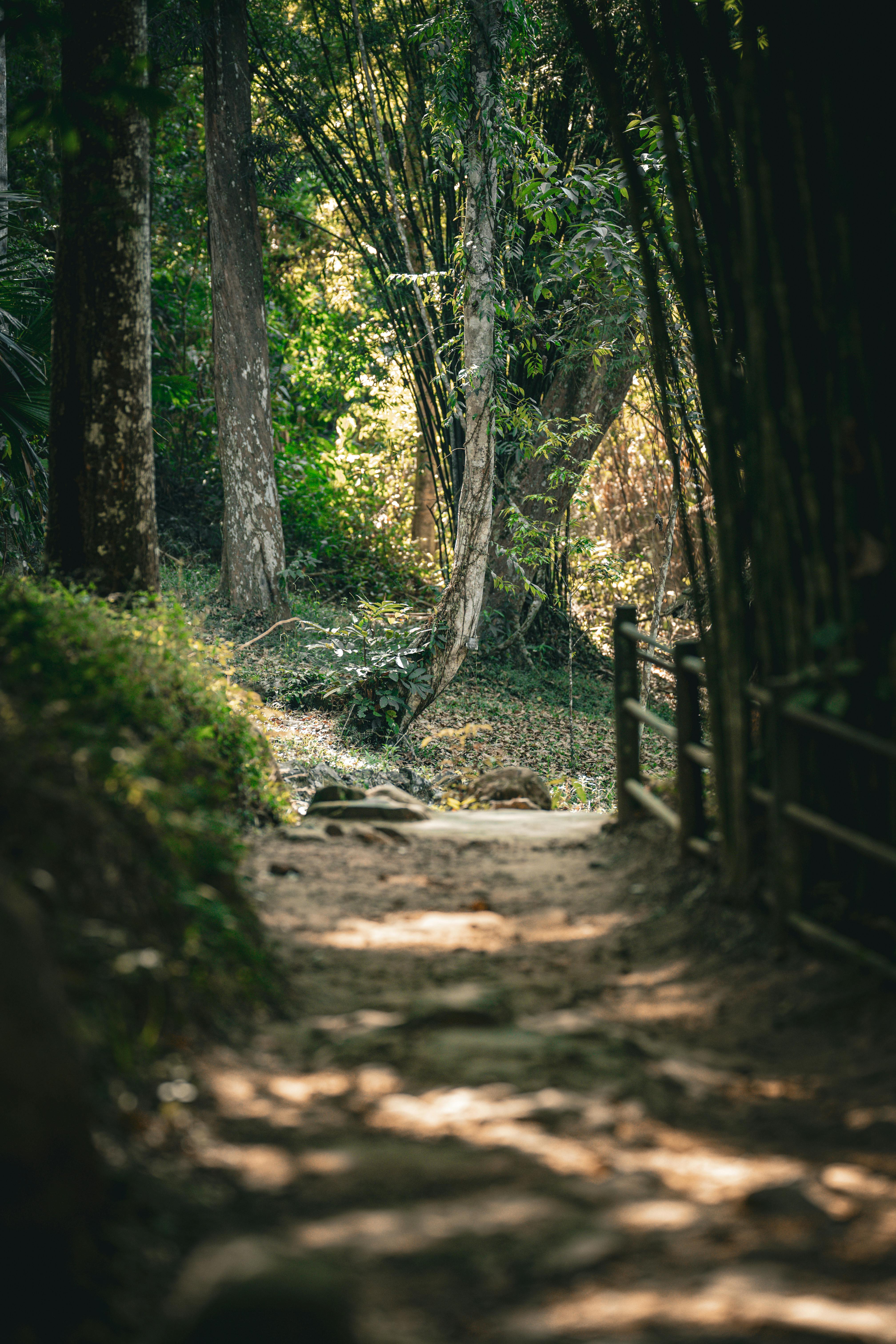 Free Stocks Images Photos, Download The BEST Free Free Stocks Images ...