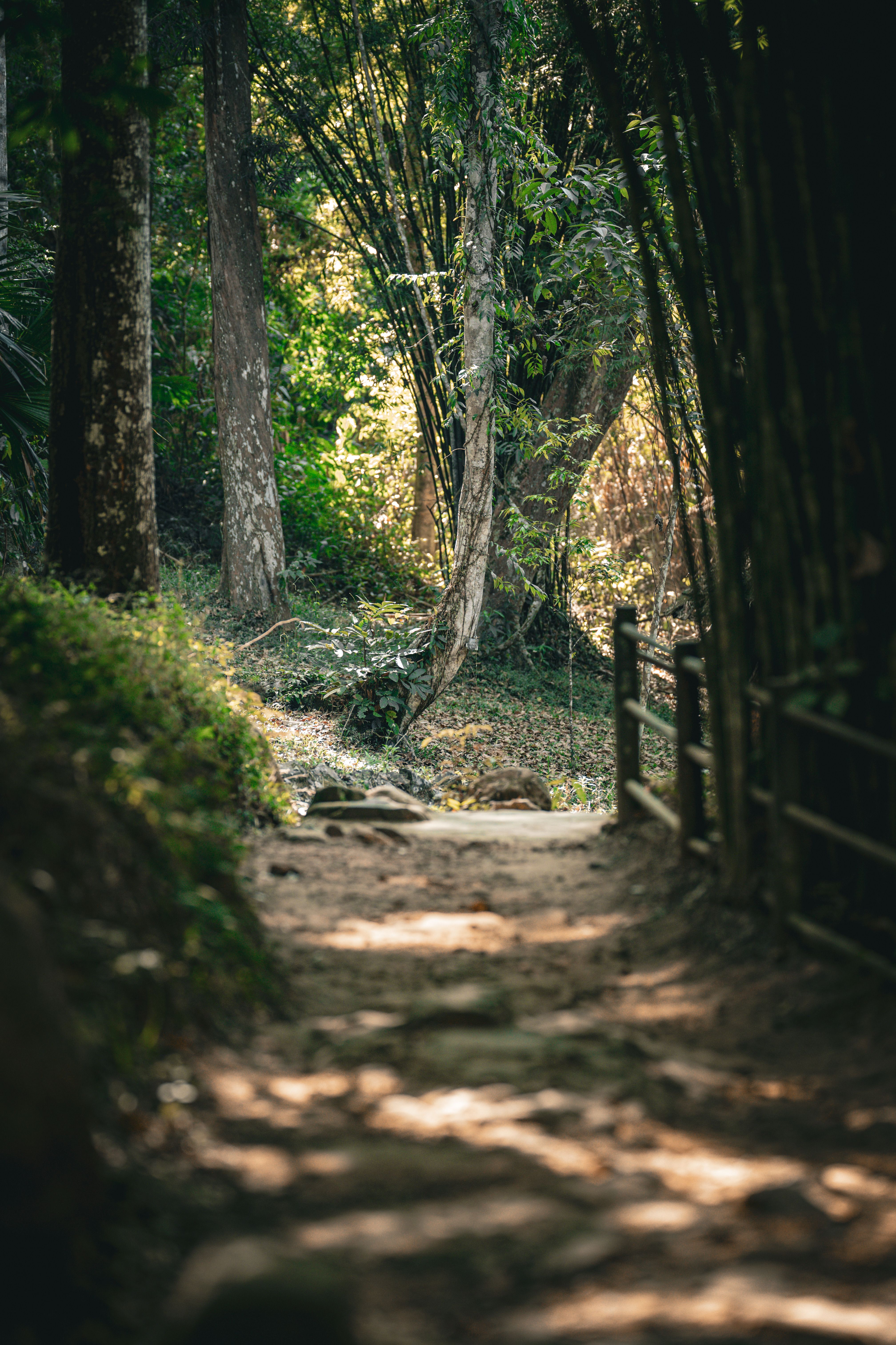 1 000 000+ Nature Photos Gratuites banque d’images et photos libres de ...