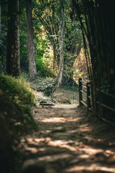 Free Pix Photos, Download The BEST Free Free Pix Stock Photos & HD Images