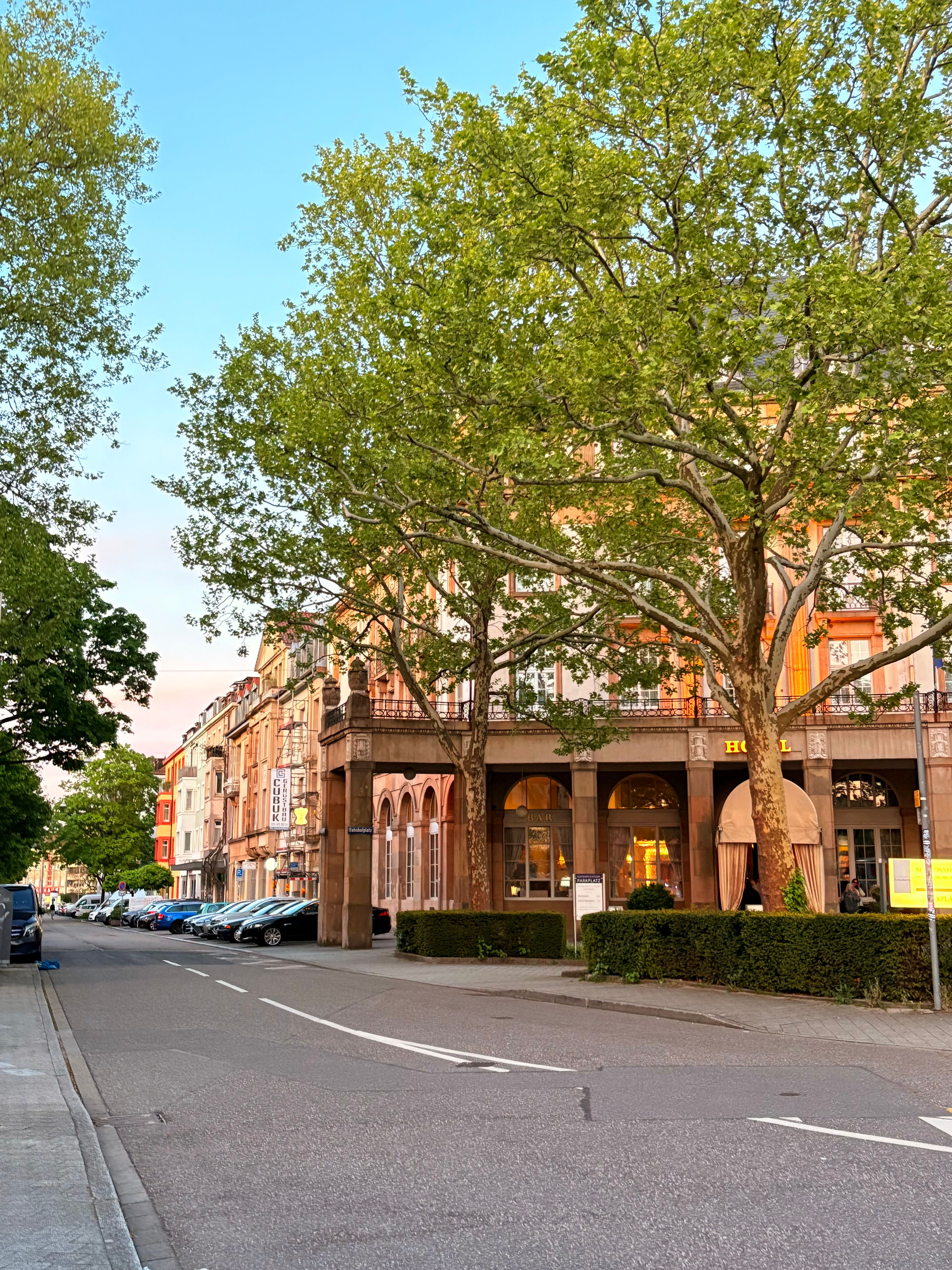 Charming Tree-Lined Street in European City · Free Stock Photo