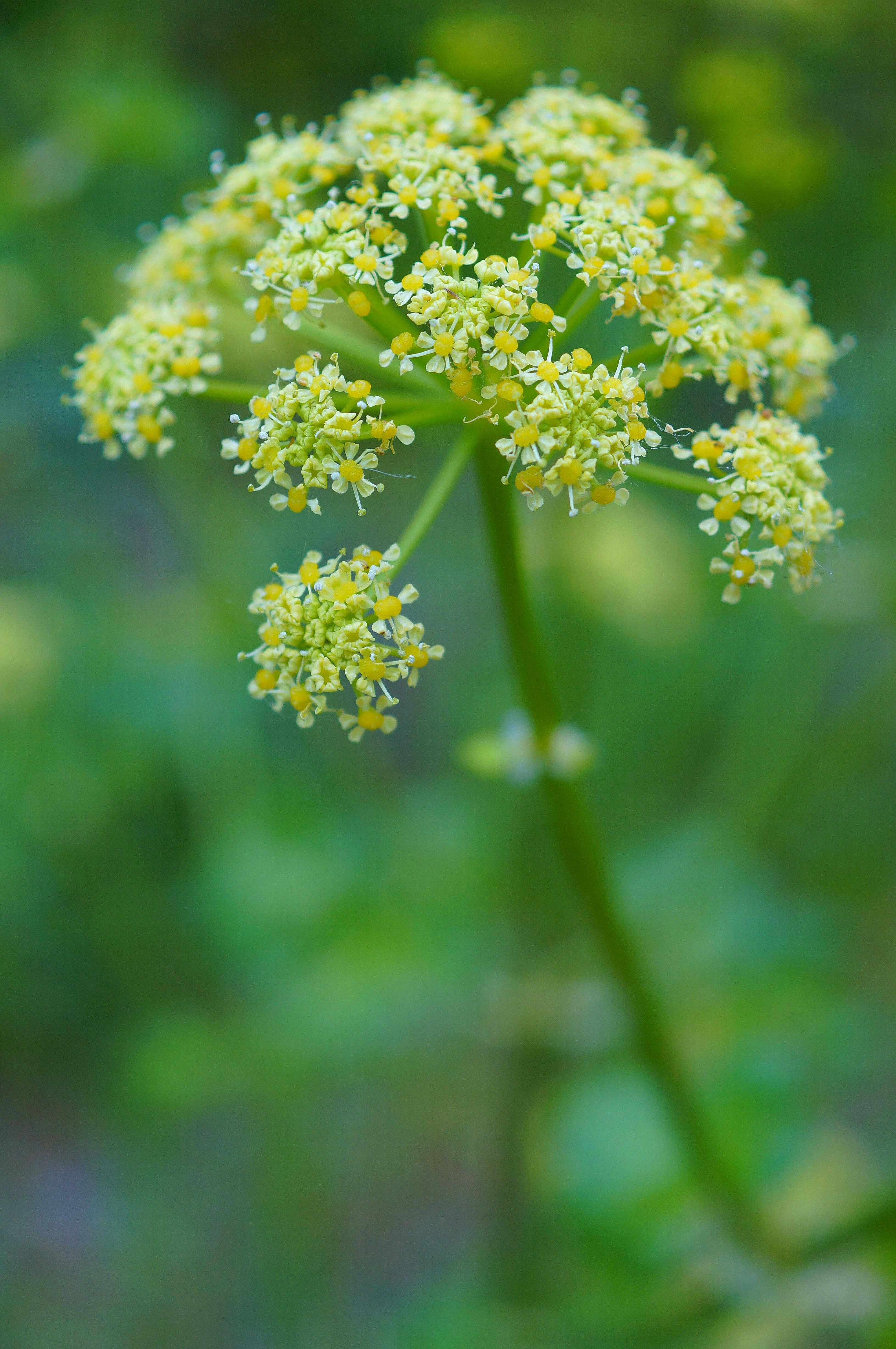 Background Without Blur Photos, Download The BEST Free Background ...