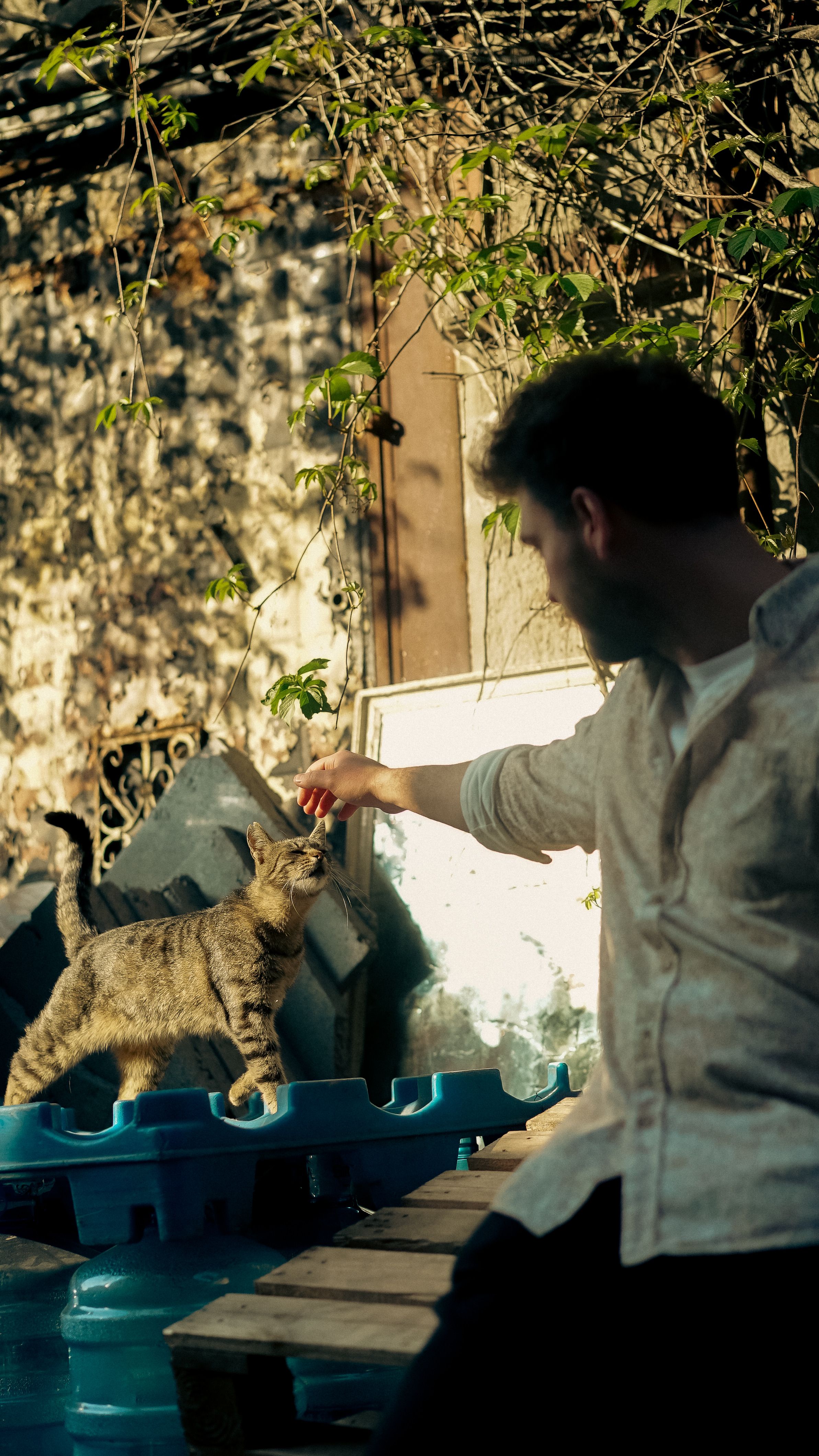 Man Feeding Cat on Sunny Wooden Deck · Free Stock Photo