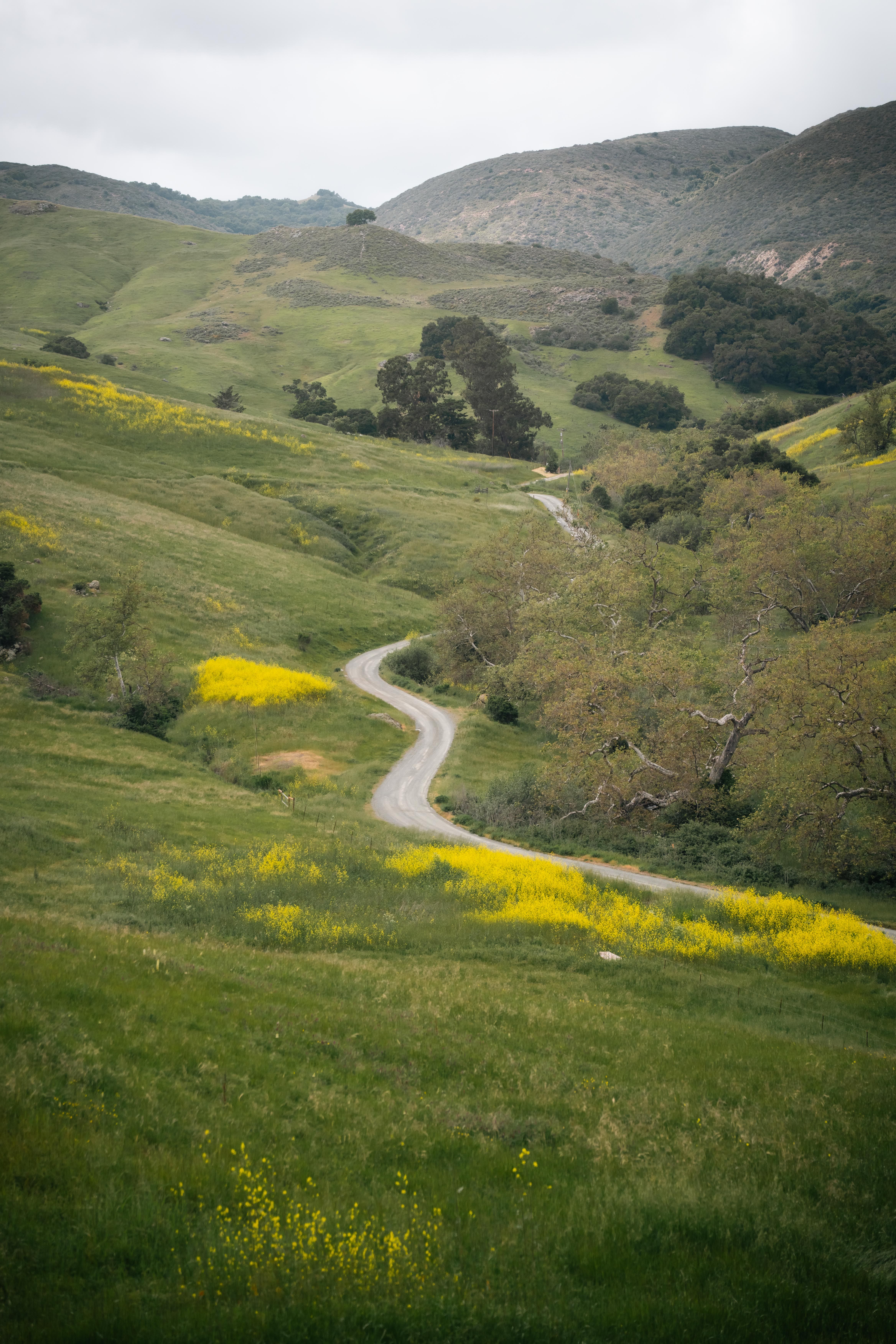 Serene Winding Path Through Rolling Green Hills · Free Stock Photo