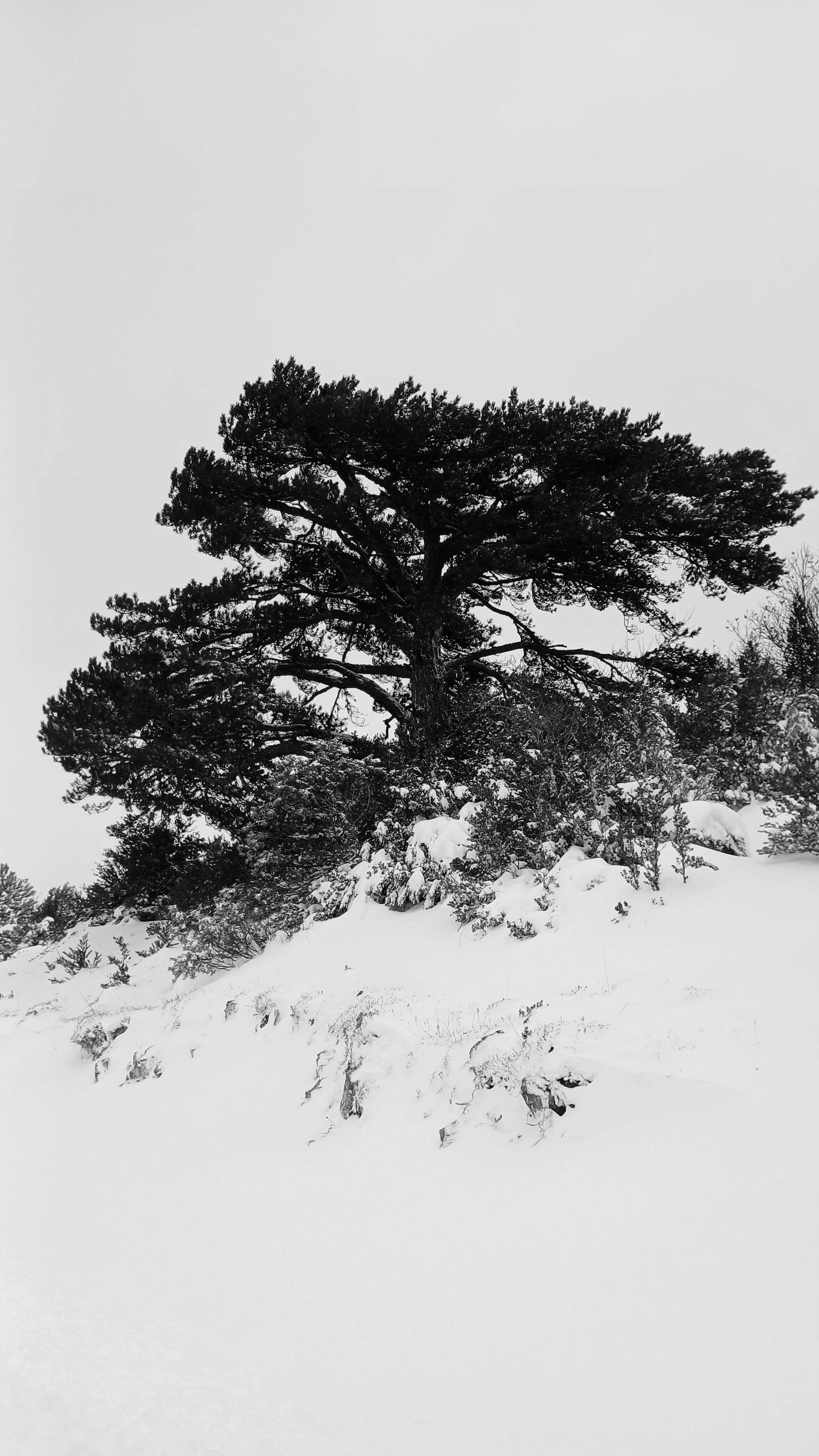Winter Texture Photos, Download The BEST Free Winter Texture Stock ...