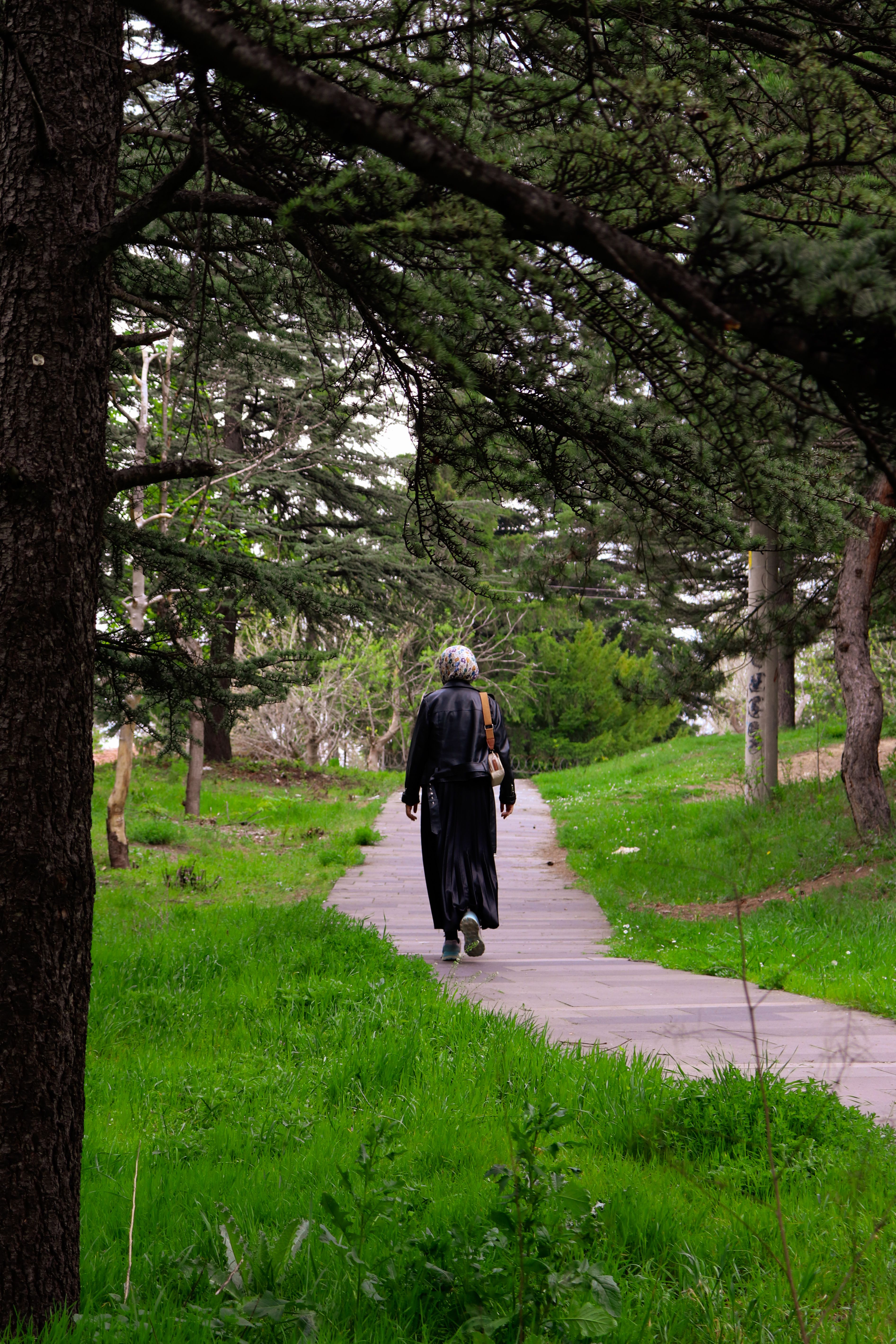Walking Paths Photos, Download The BEST Free Walking Paths Stock Photos ...