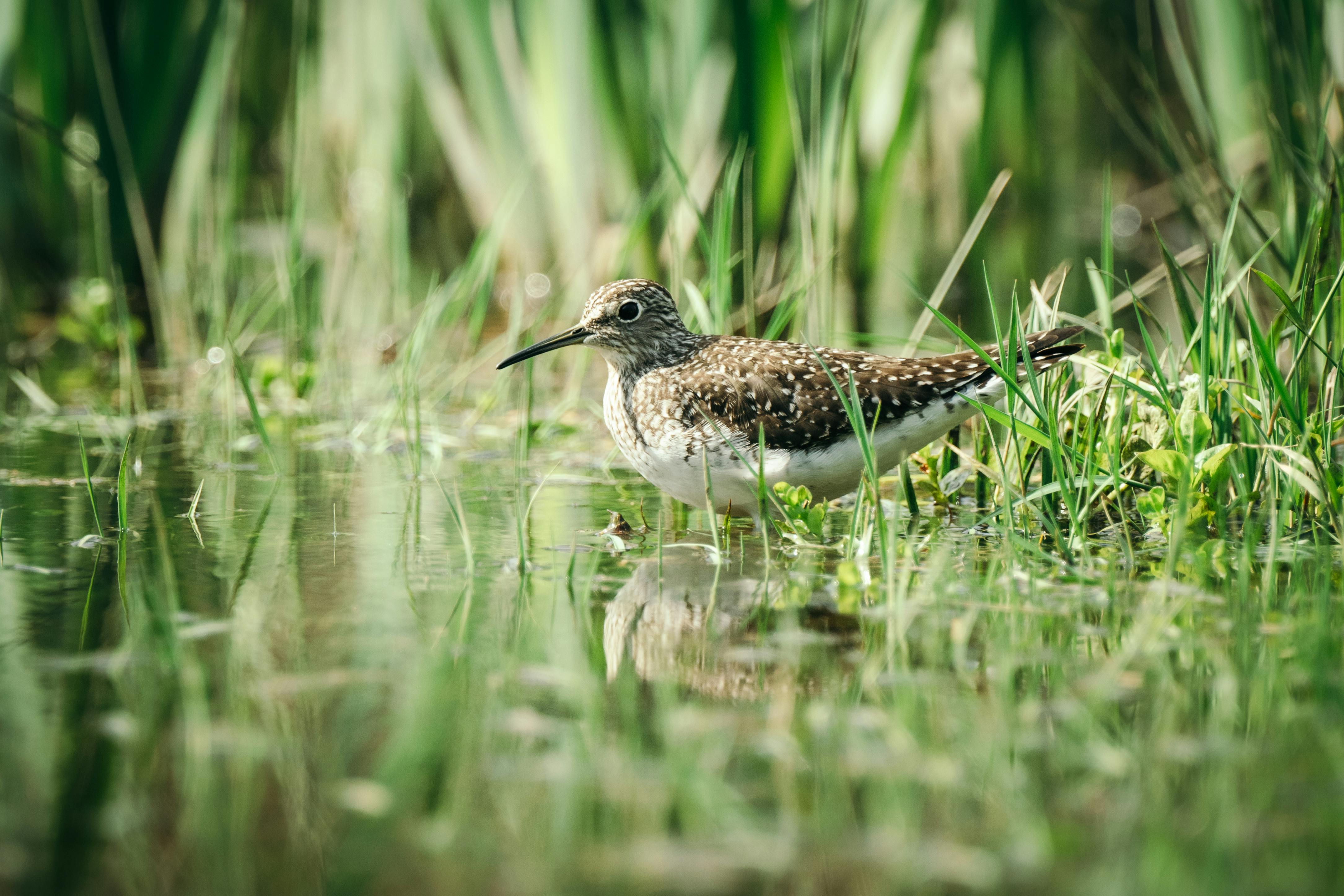 Friendly+Rivalry+Wallpaper Photos, Download The BEST Free Friendly ...