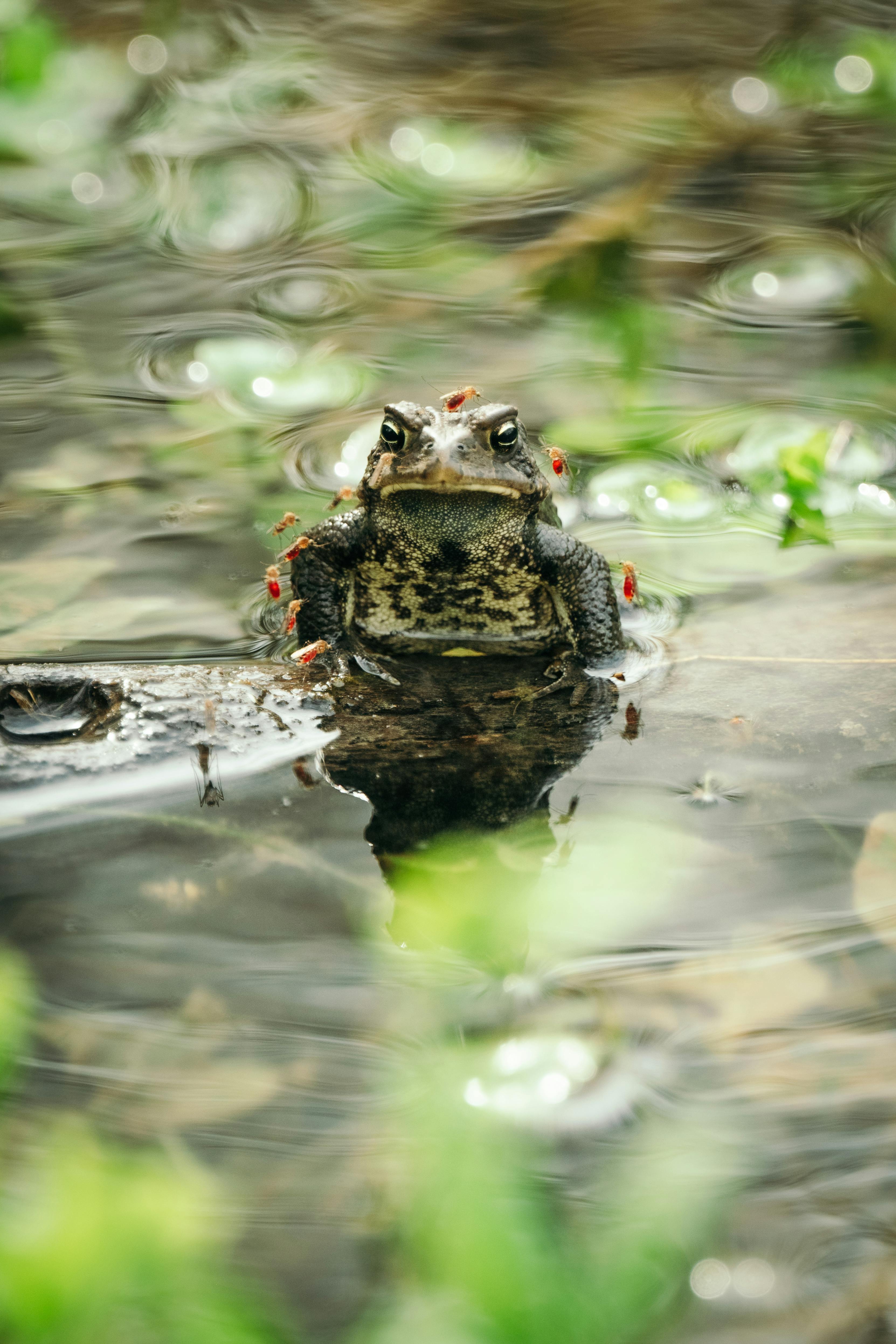 Friendly+Rivalry+Wallpaper Photos, Download The BEST Free Friendly ...